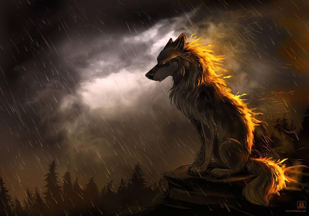 Wolf Digital Art Wallpapers - Top Free Wolf Digital Art Backgrounds - WallpaperAccess