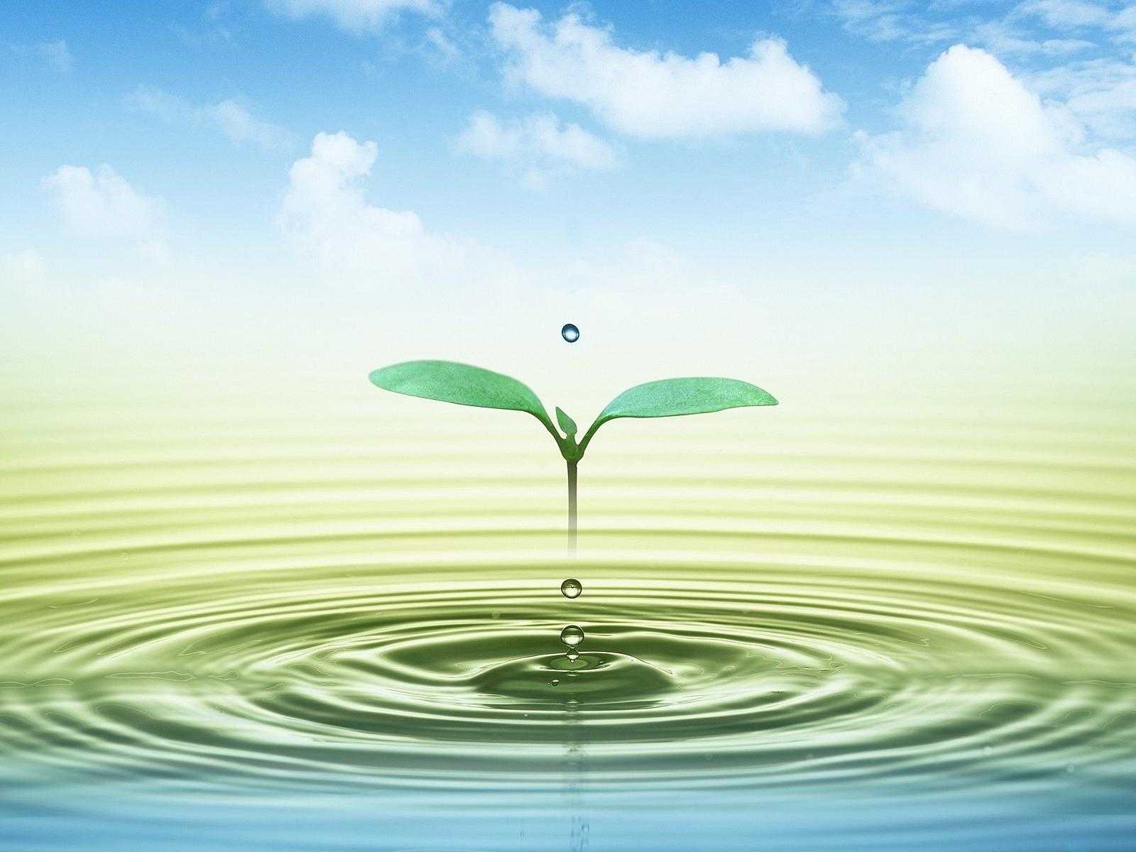 Cute Water HD Wallpapers - Top Free Cute Water HD Backgrounds ...