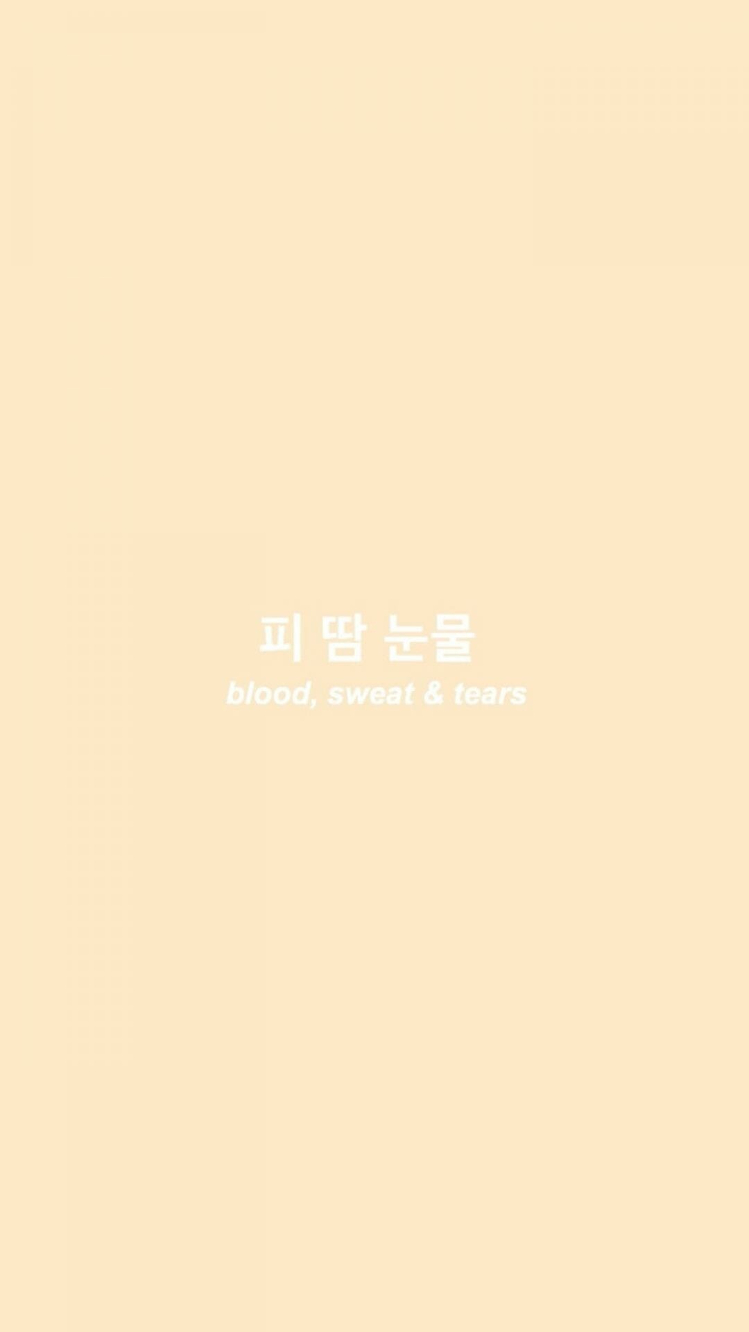 Beige iPhone Wallpapers - Top Free Beige iPhone Backgrounds ...