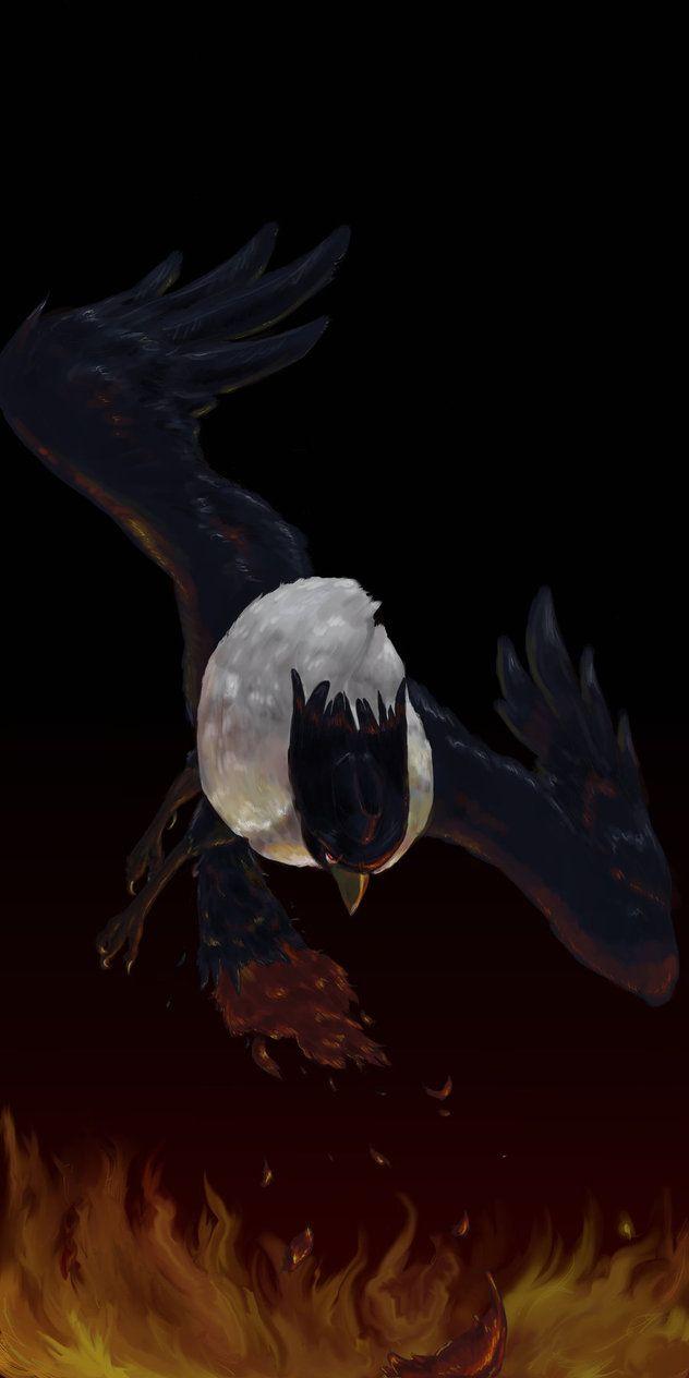 Honchkrow Wallpapers - Top Free Honchkrow Backgrounds - WallpaperAccess