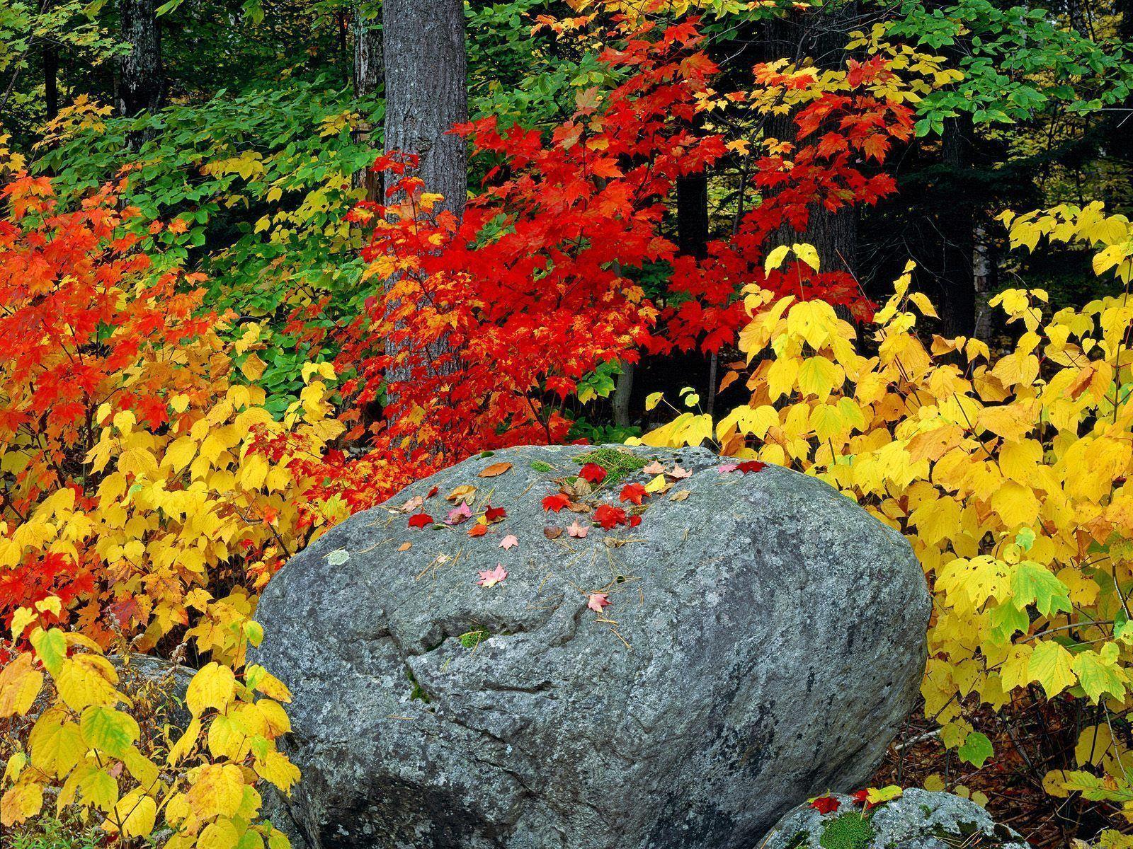 Adirondack Wallpapers - Top Free Adirondack Backgrounds - WallpaperAccess