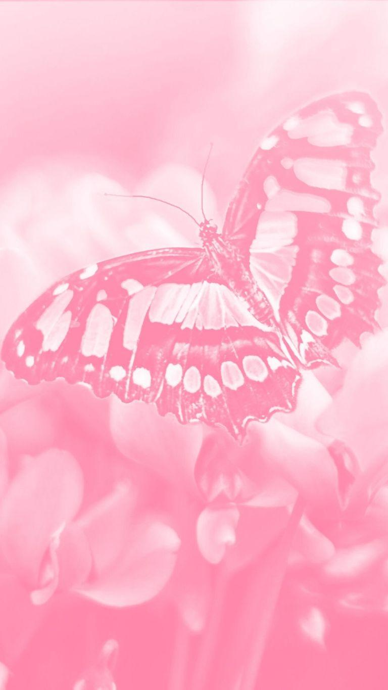 Girly Pink Aesthetic Wallpapers - Top Free Girly Pink Aesthetic ...