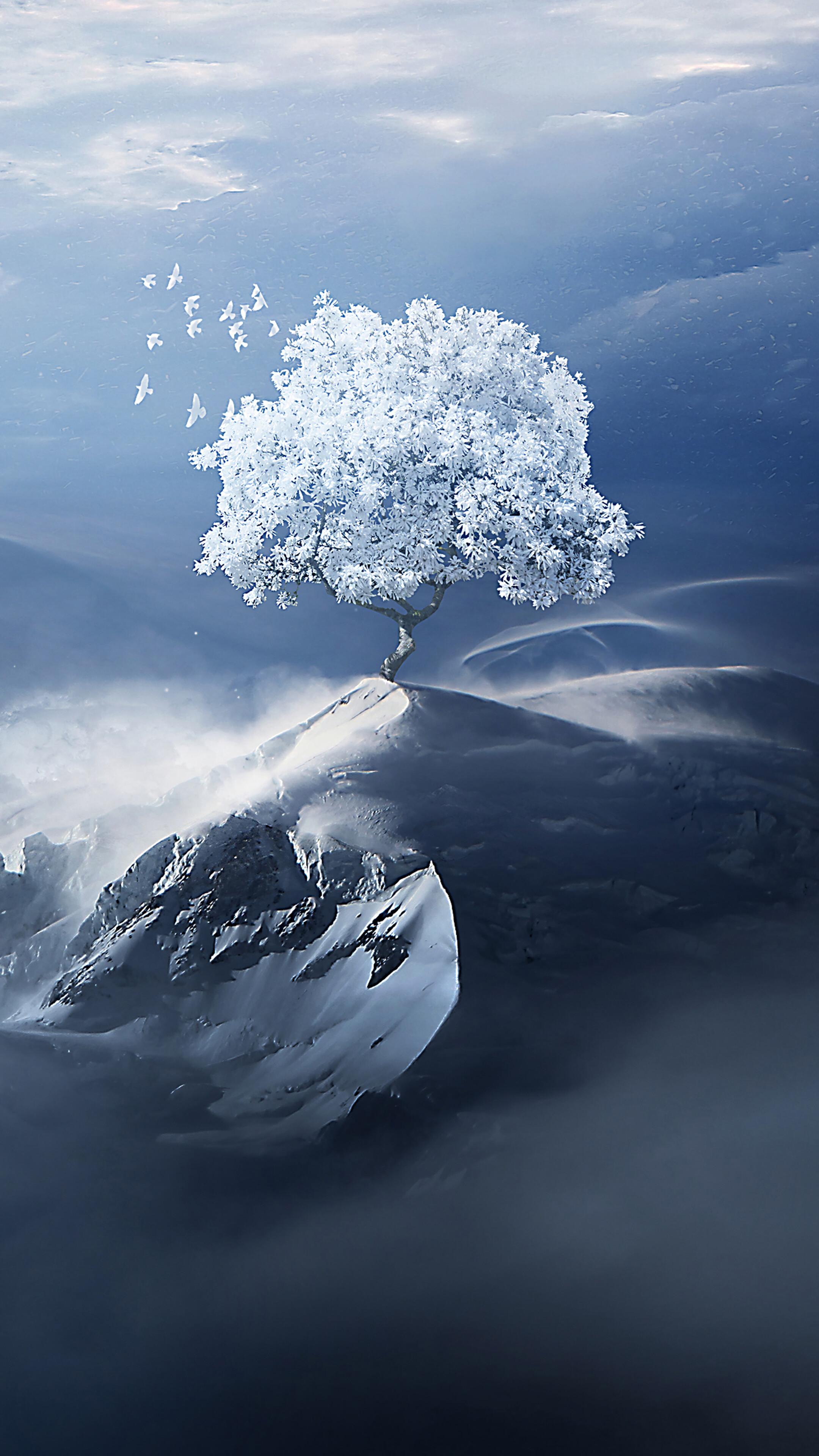 Winter Trees 4K Wallpapers - Top Free Winter Trees 4K Backgrounds ...