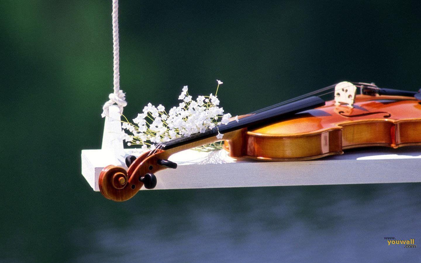 Beautiful Violin Wallpapers - Top Free Beautiful Violin Backgrounds ...
