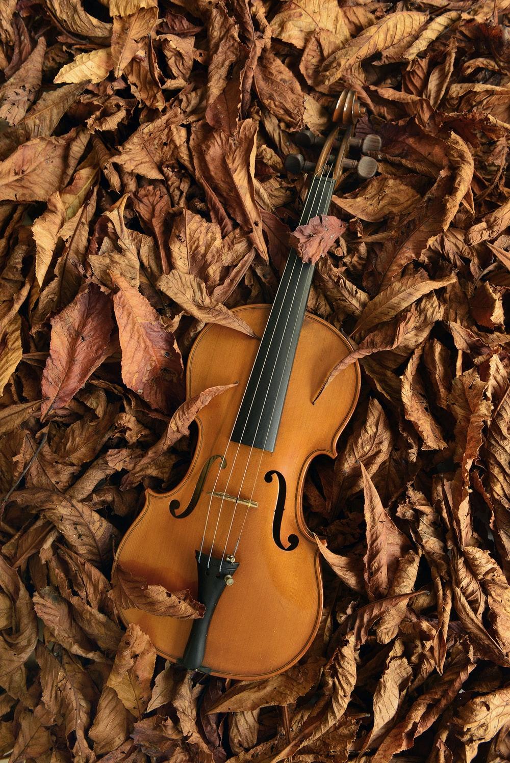 Beautiful Violin Wallpapers - Top Free Beautiful Violin Backgrounds ...