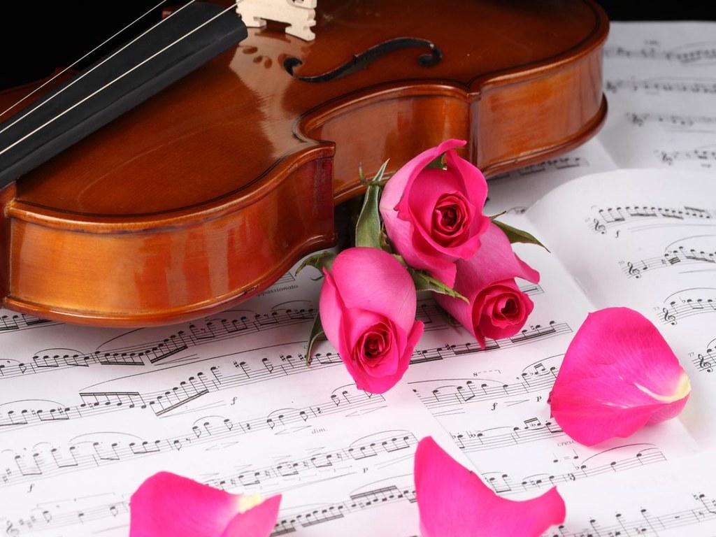 Beautiful Violin Wallpapers - Top Free Beautiful Violin Backgrounds ...