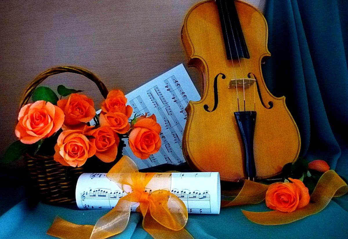 Beautiful Violin Wallpapers - Top Free Beautiful Violin Backgrounds ...