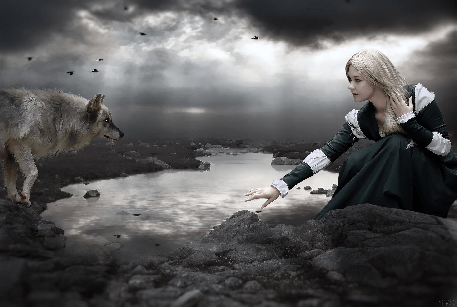 Gothic Wolf Wallpapers - Top Free Gothic Wolf Backgrounds - WallpaperAccess