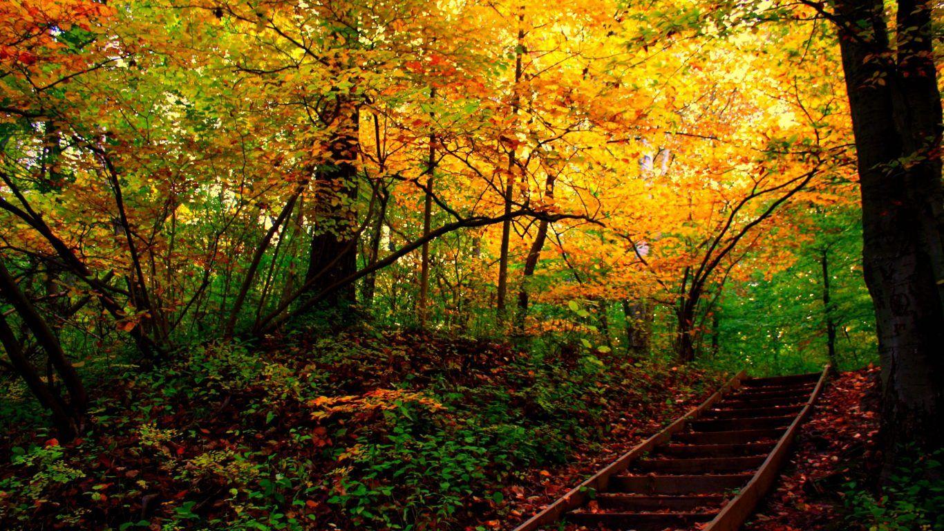 Autumn in Ireland Wallpapers - Top Free Autumn in Ireland Backgrounds ...