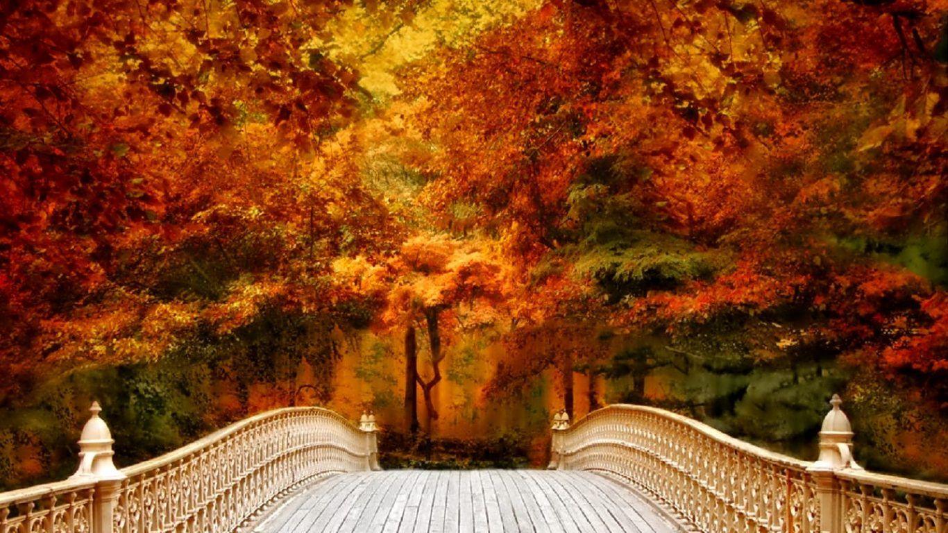 Autumn in Ireland Wallpapers - Top Free Autumn in Ireland Backgrounds ...