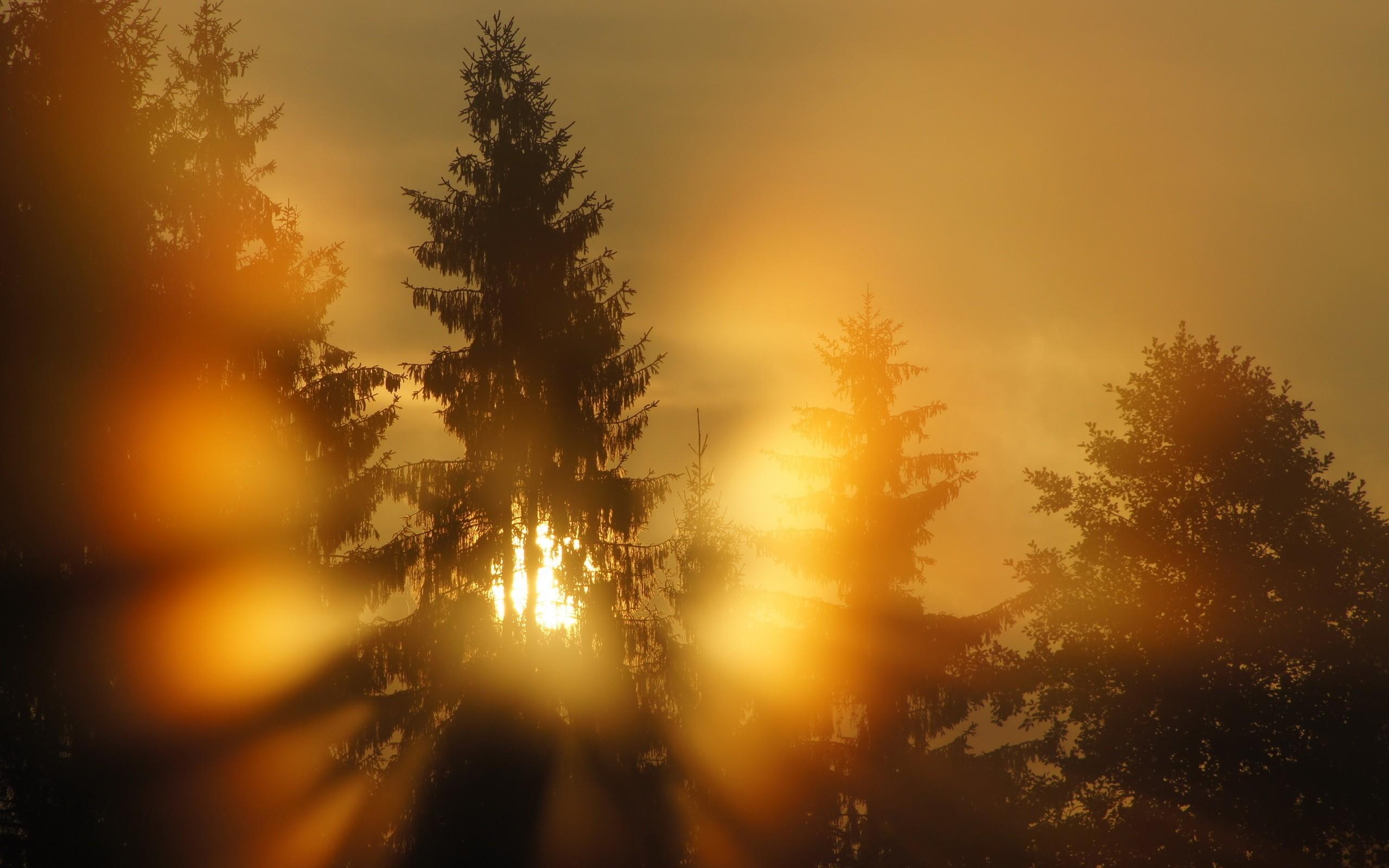 Bright Sunrise Wallpapers - Top Free Bright Sunrise Backgrounds ...