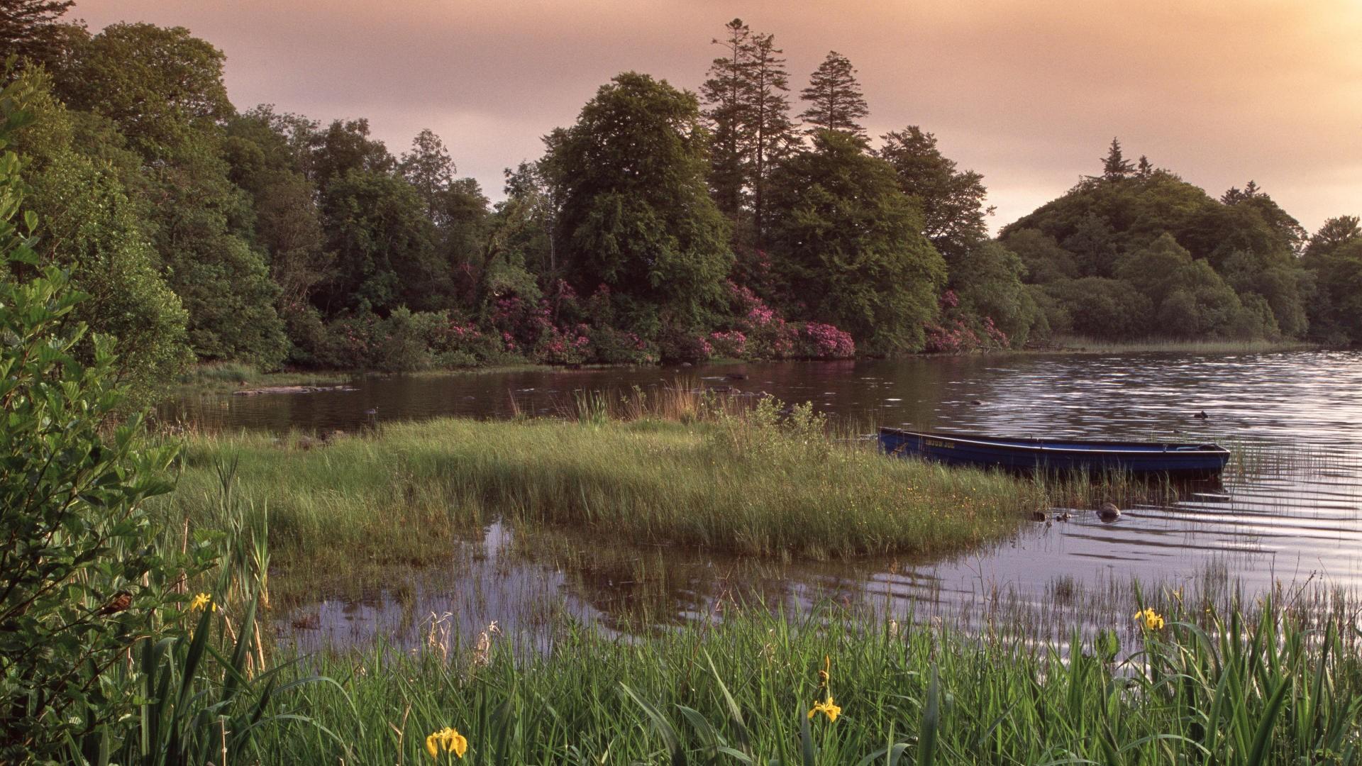 Donegal Wallpapers - Top Free Donegal Backgrounds - WallpaperAccess