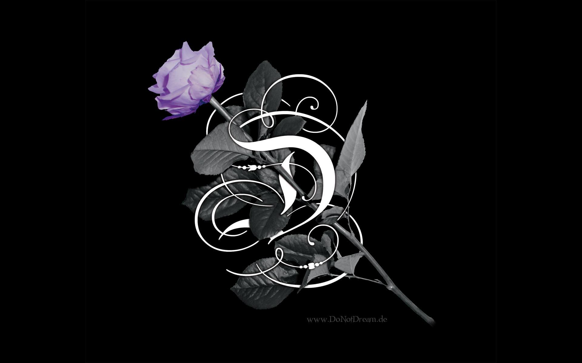 Withered Rose Wallpapers - Top Free Withered Rose Backgrounds ...