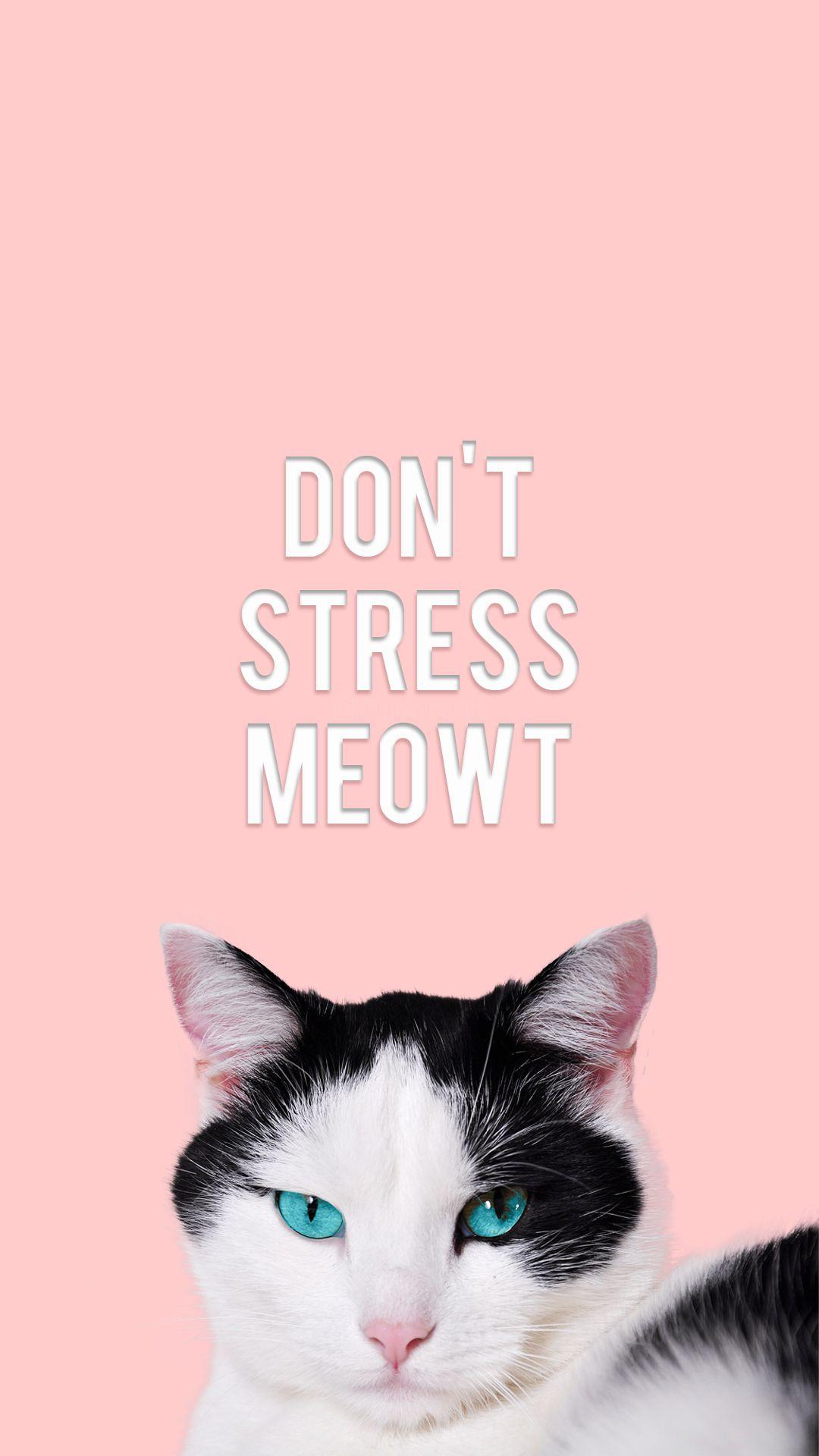Pun Wallpapers - Top Free Pun Backgrounds - WallpaperAccess
