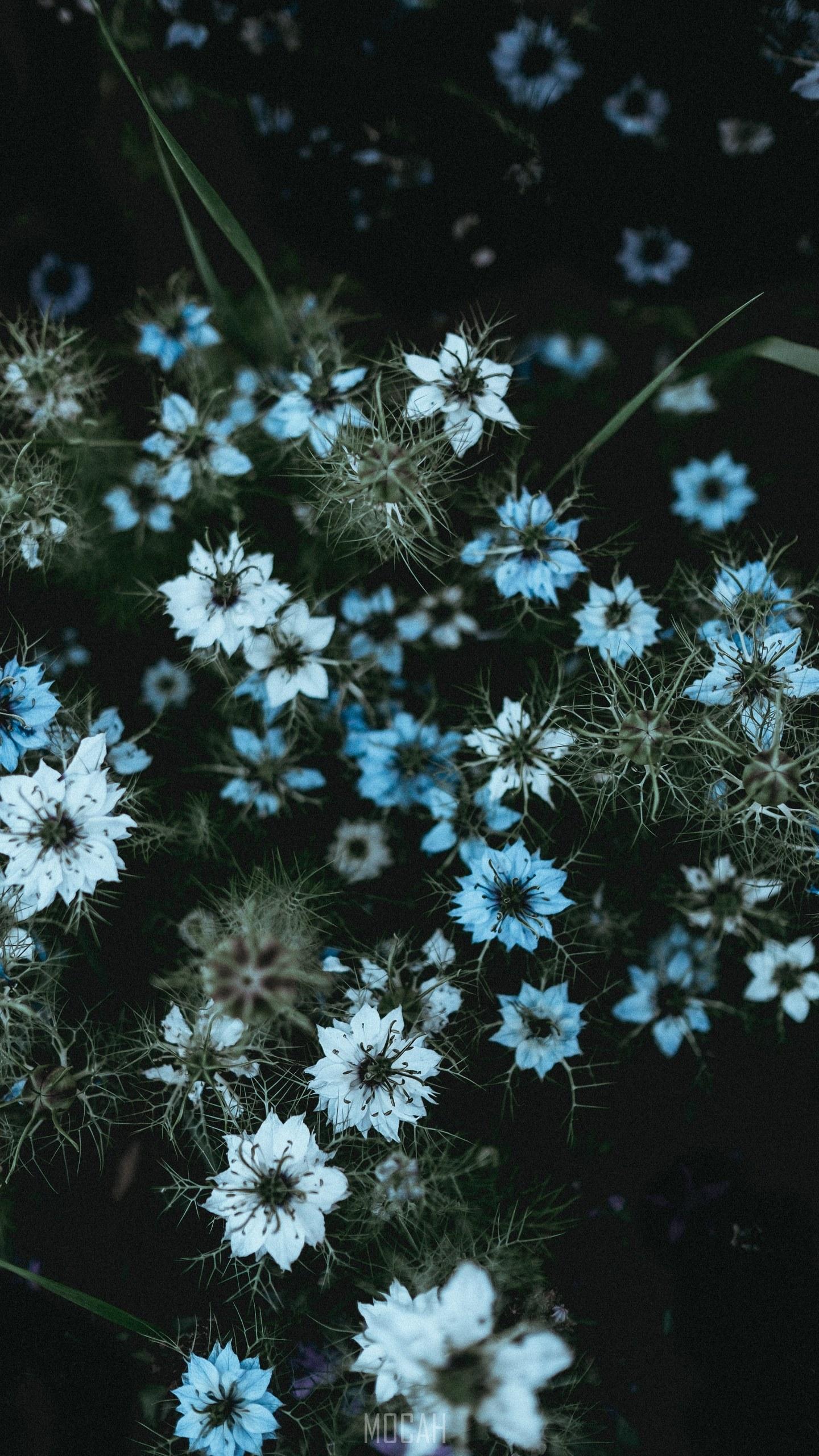 LG G3 Wallpapers - Top Free LG G3 Backgrounds - WallpaperAccess