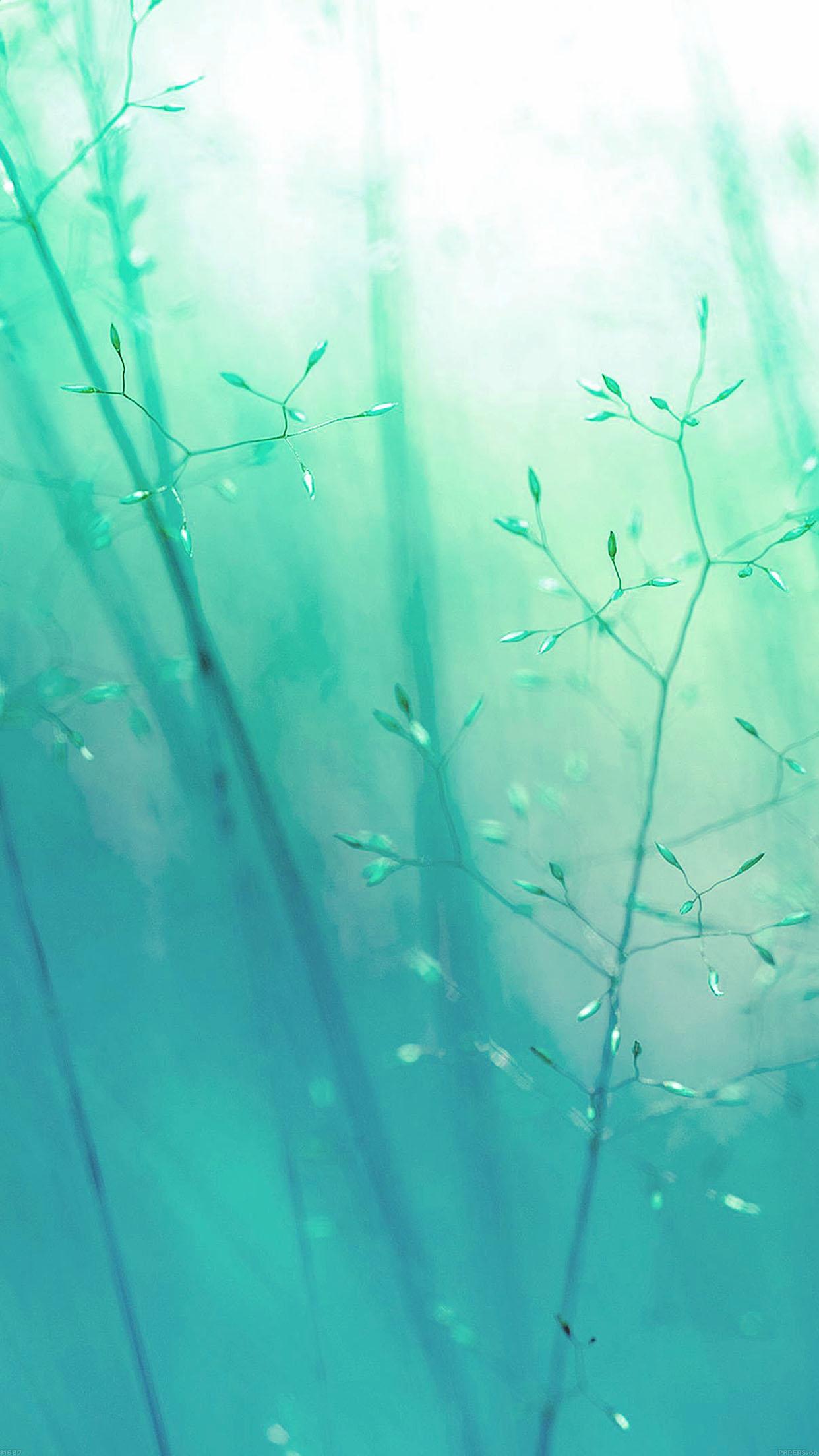 LG G3 Wallpapers - Top Free LG G3 Backgrounds - WallpaperAccess