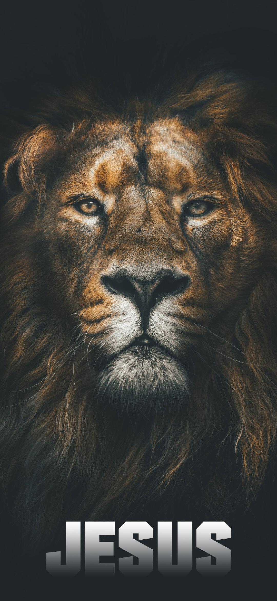 Jesus Word Wallpapers - Top Free Jesus Word Backgrounds - WallpaperAccess