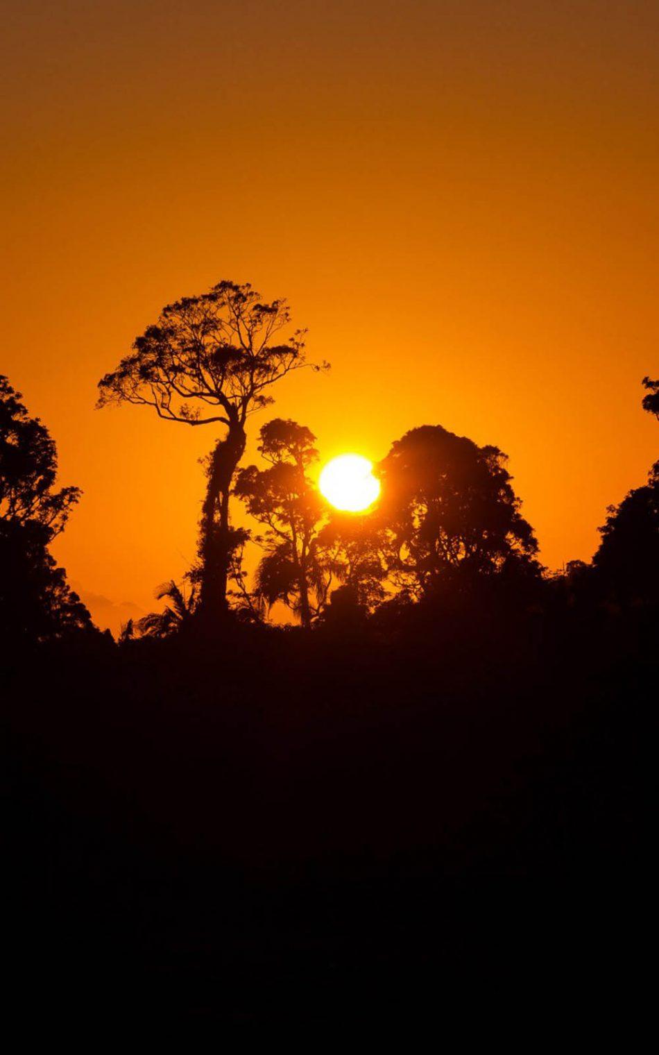 Sunset Mobile Wallpapers - Top Free Sunset Mobile Backgrounds ...