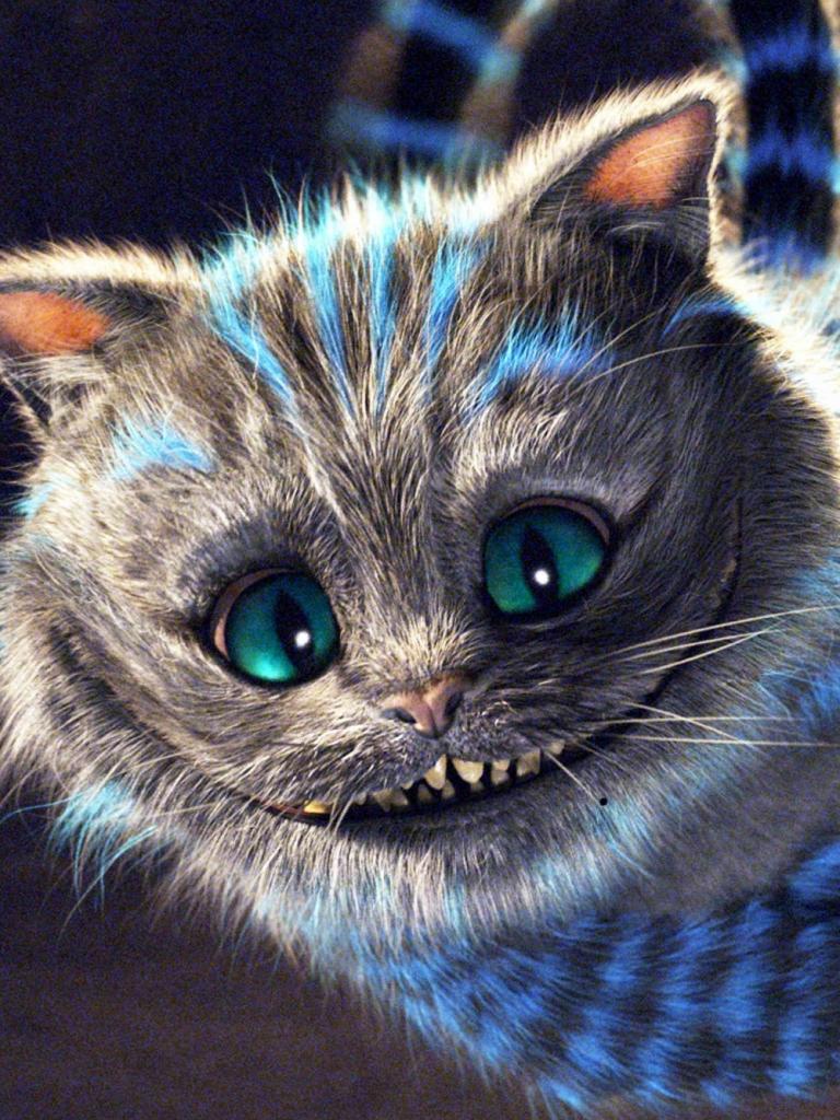 Smiling Cat Wallpapers - Top Free Smiling Cat Backgrounds - WallpaperAccess