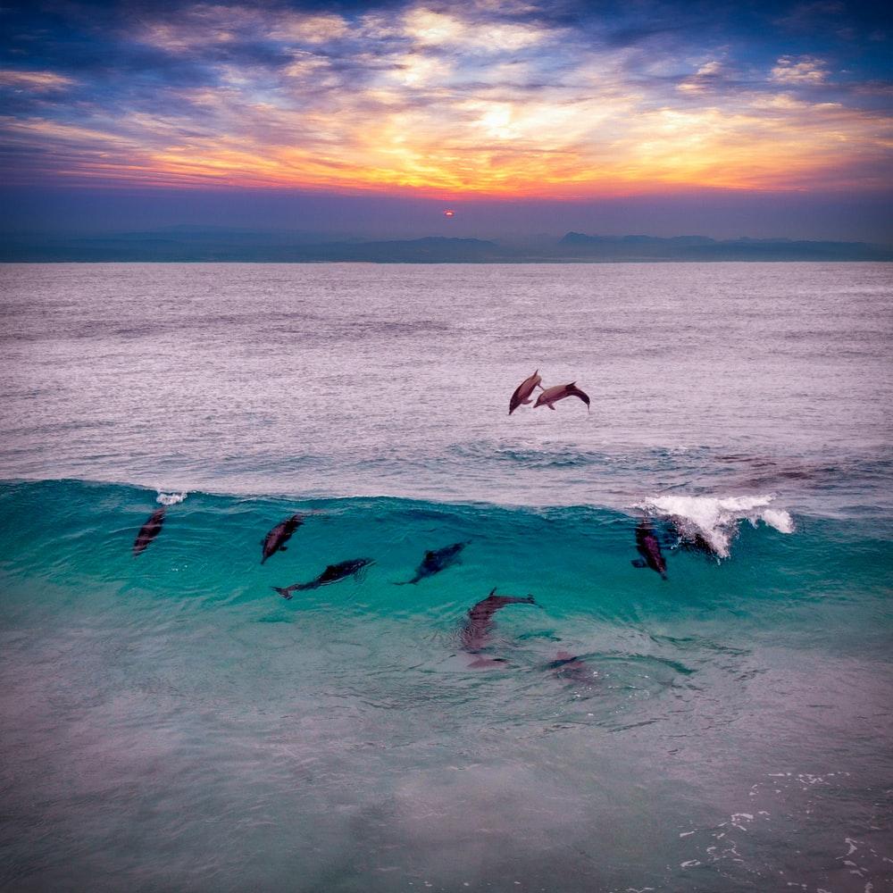 Fraser Island Wallpapers - Top Free Fraser Island Backgrounds ...