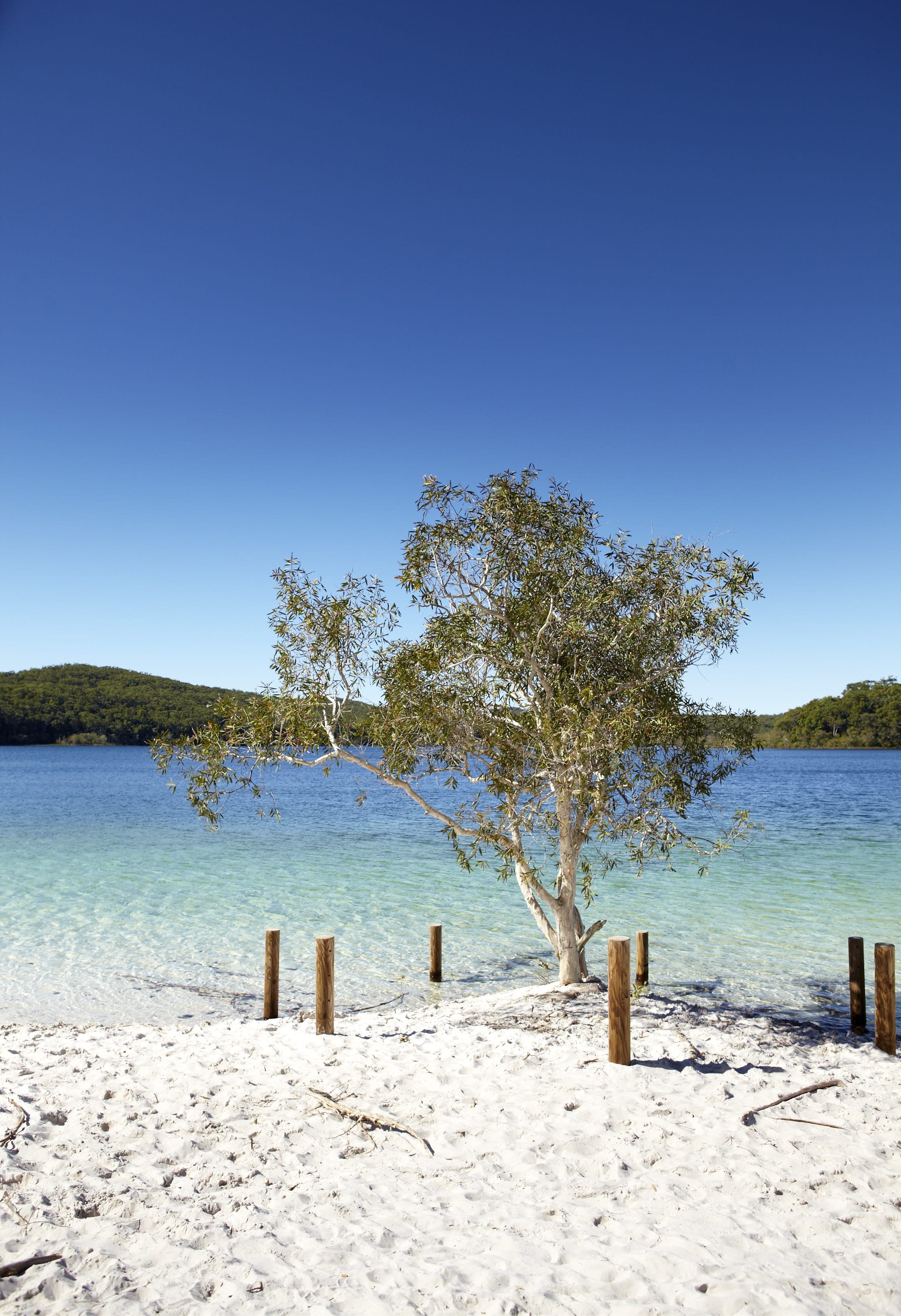 Fraser Island Wallpapers - Top Free Fraser Island Backgrounds ...