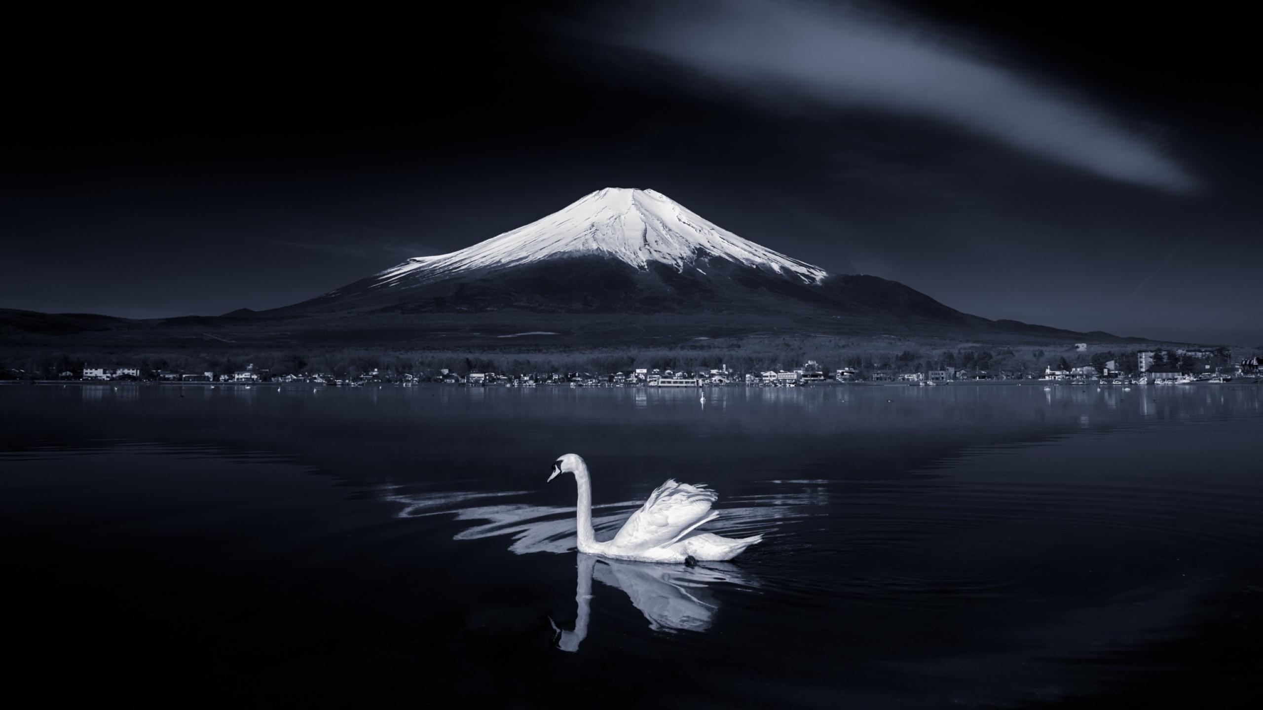 2560x1440 Japan Wallpapers - Top Free 2560x1440 Japan Backgrounds ...