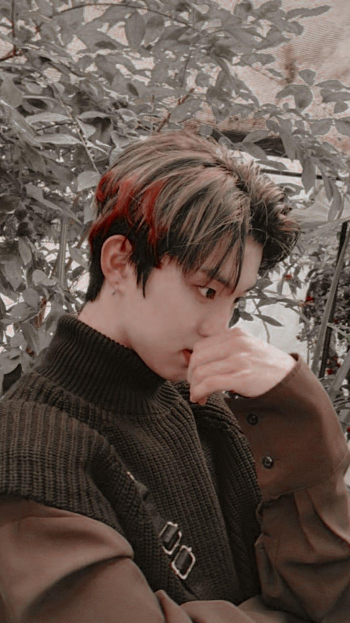 Changmin Wallpapers - Top Free Changmin Backgrounds - WallpaperAccess