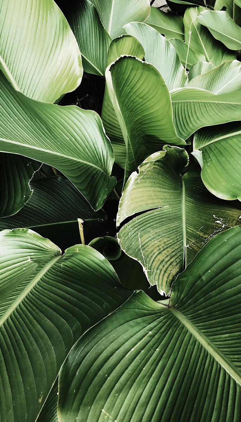Bali iPhone Wallpapers - Top Free Bali iPhone Backgrounds - WallpaperAccess