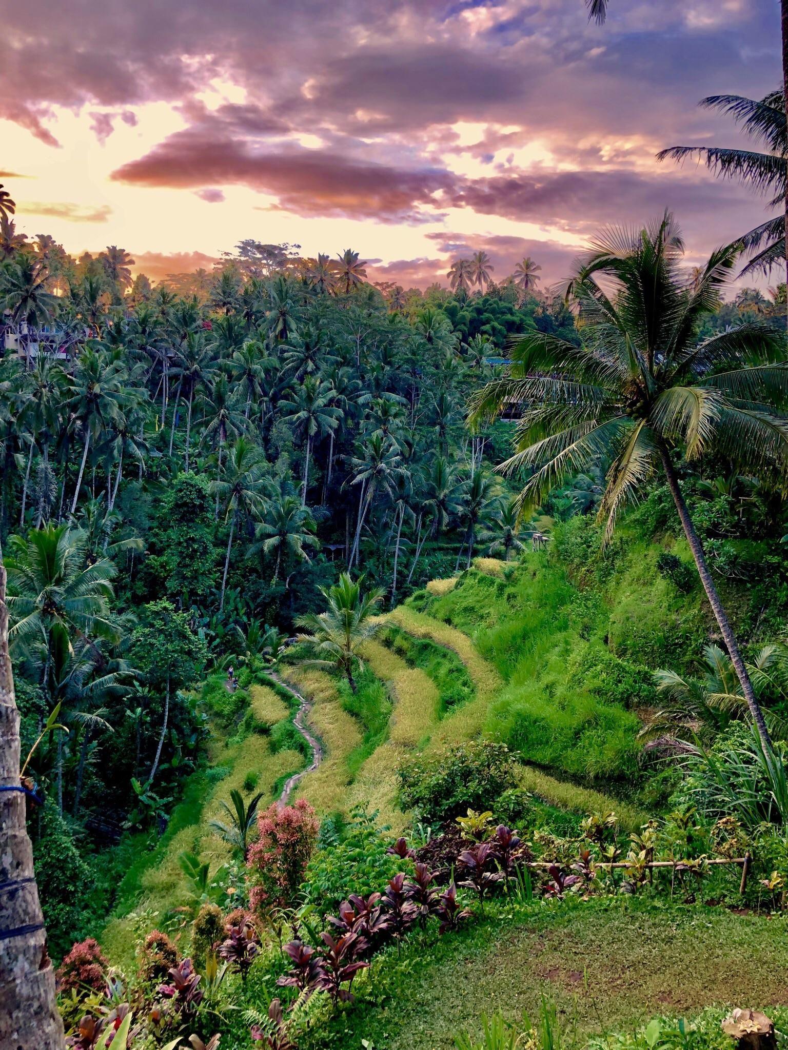 Bali iPhone Wallpapers - Top Free Bali iPhone Backgrounds - WallpaperAccess