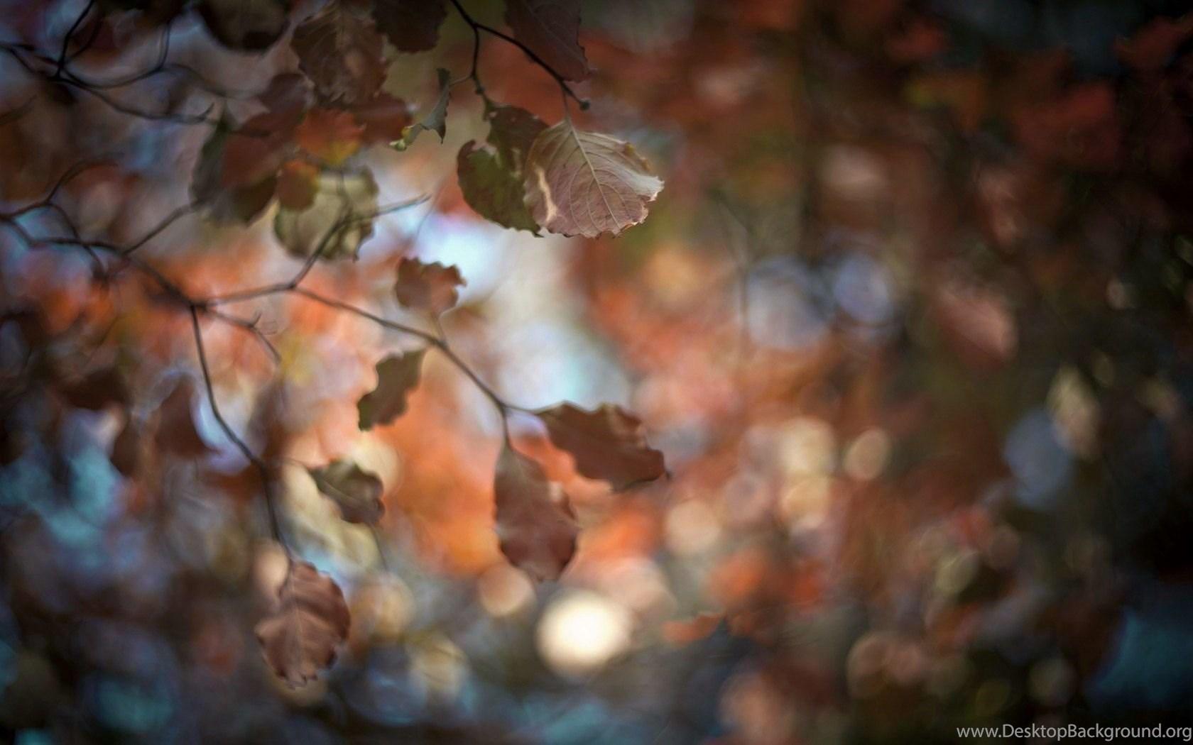 Blur Full HD Wallpapers - Top Free Blur Full HD Backgrounds ...