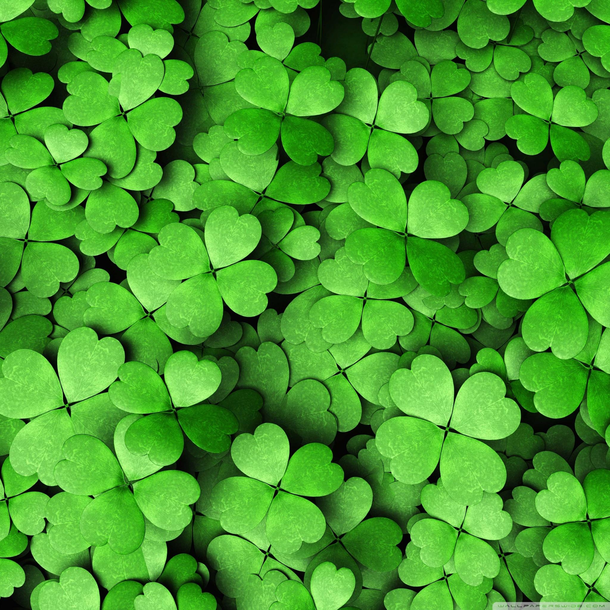 Clover iPhone Wallpapers - Top Free Clover iPhone Backgrounds ...