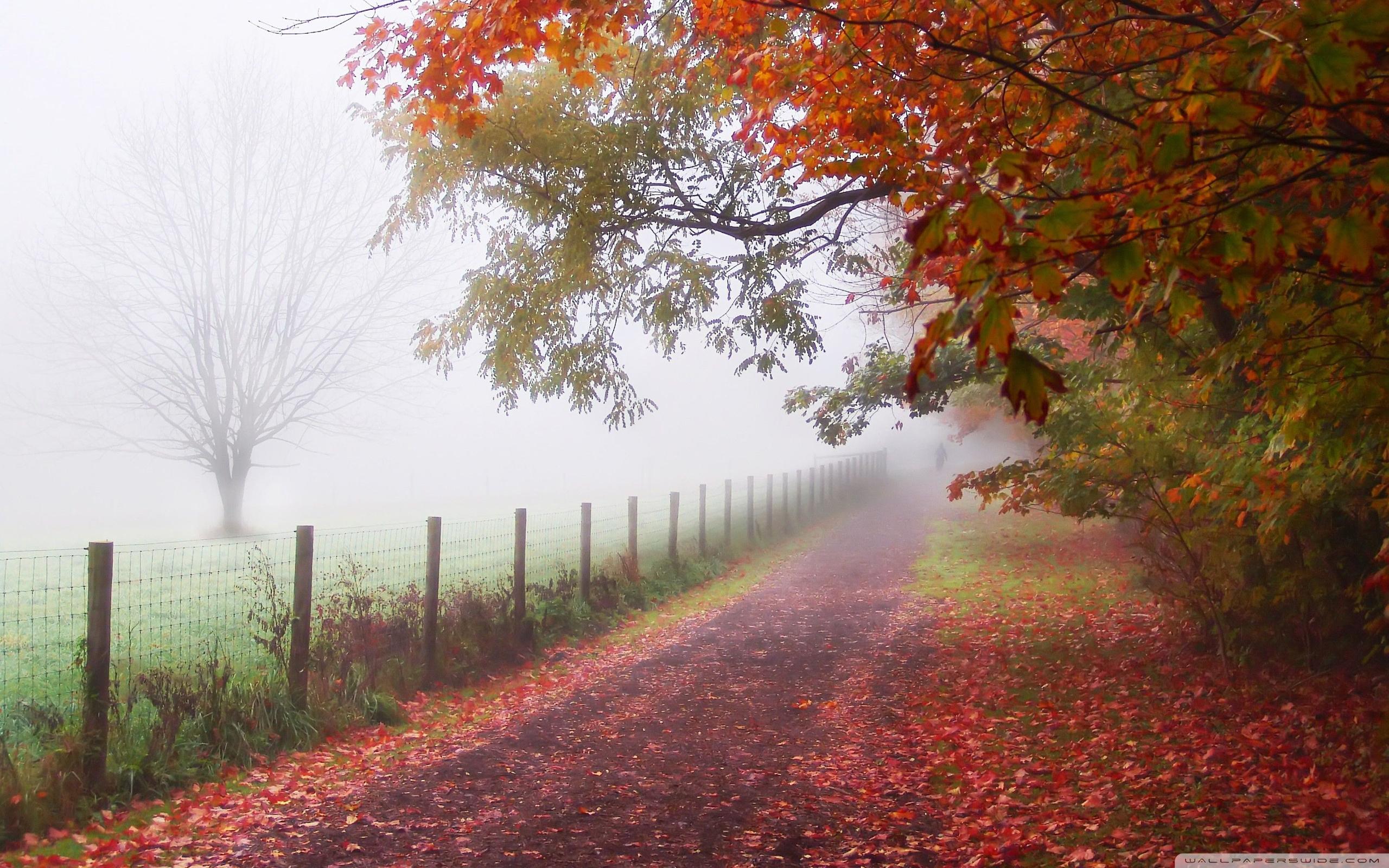 Foggy Day Wallpapers - Top Free Foggy Day Backgrounds - WallpaperAccess