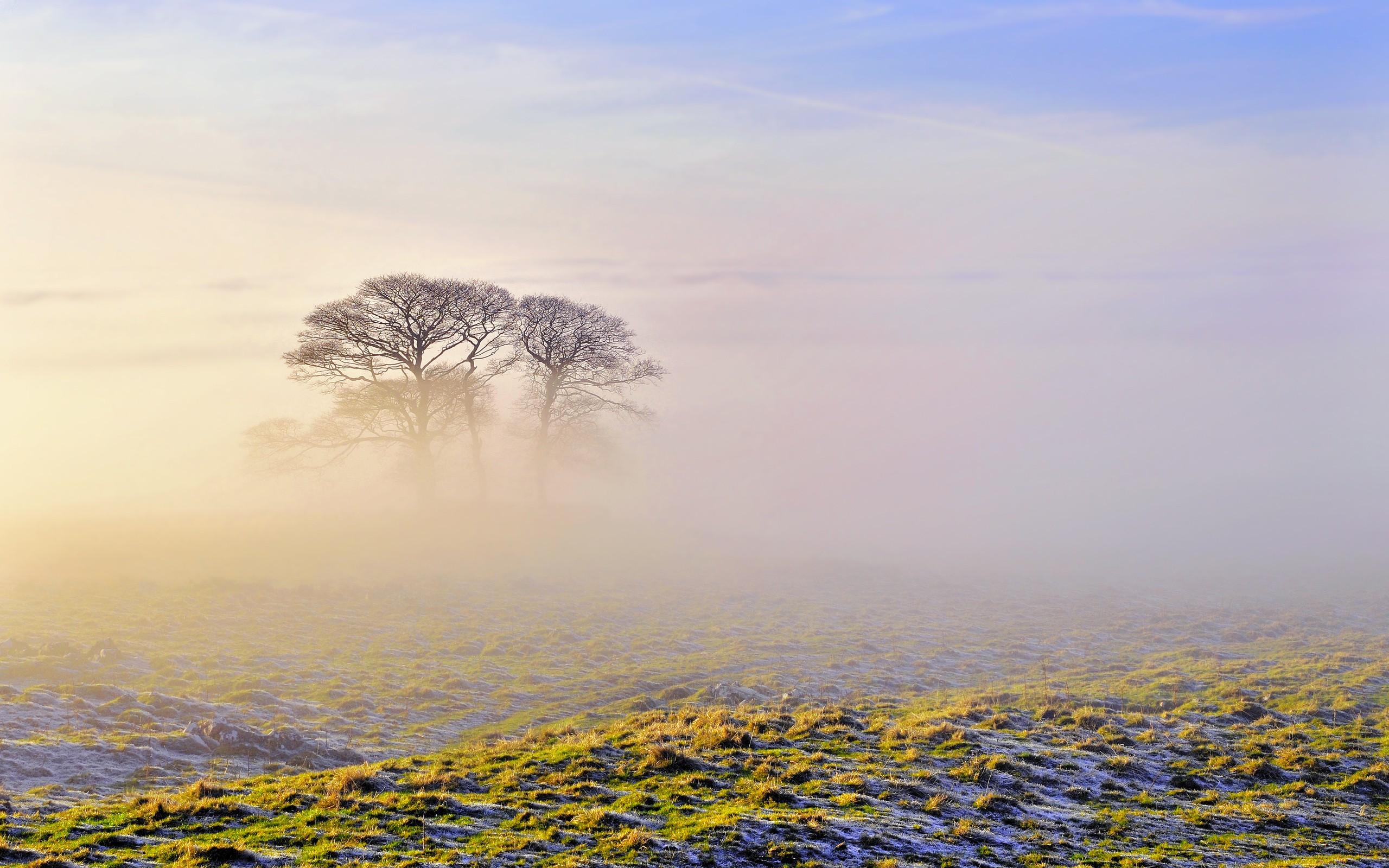 Frosty Morning Wallpapers - Top Free Frosty Morning Backgrounds ...
