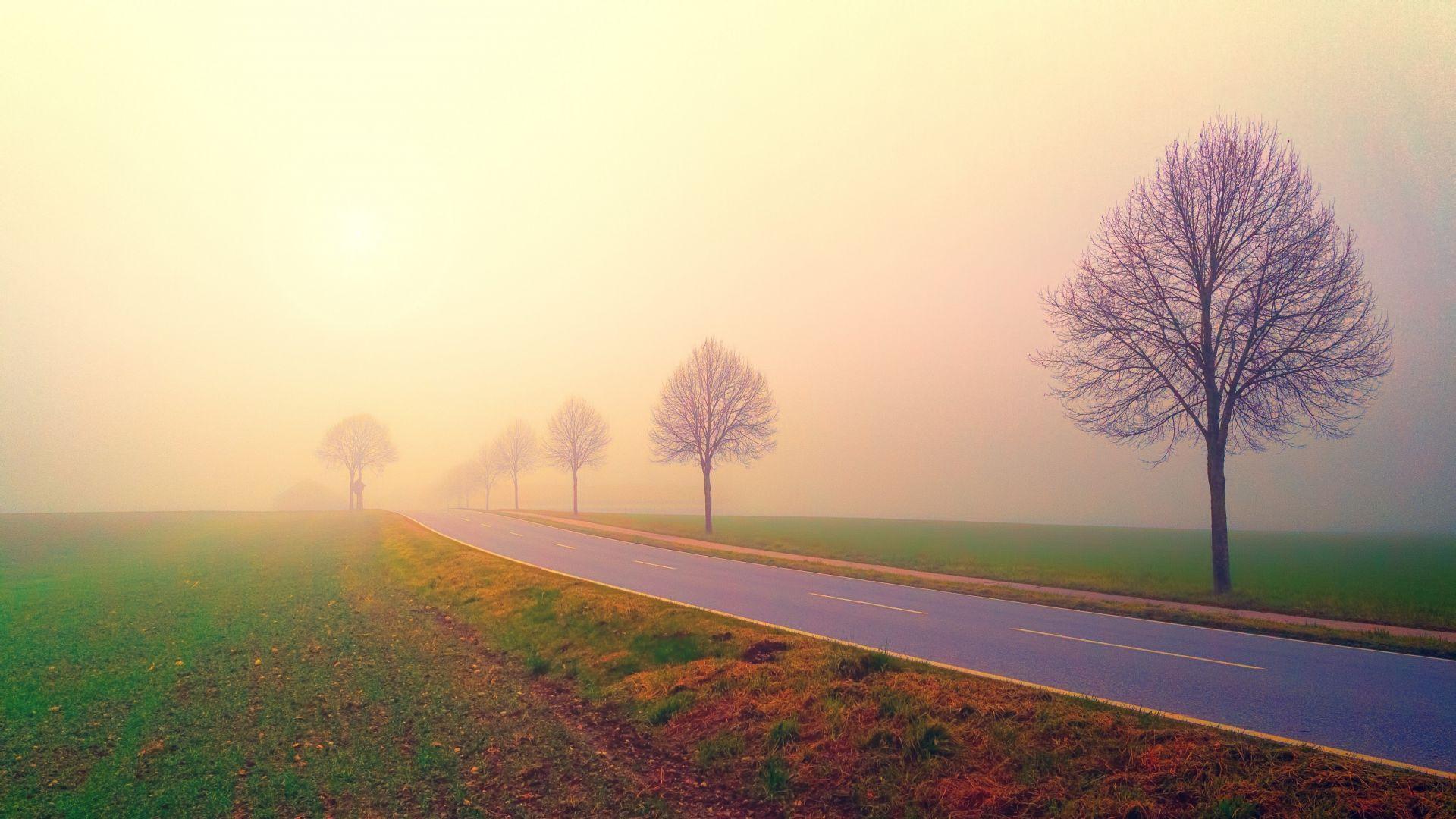 Foggy Morning Wallpapers - Top Free Foggy Morning Backgrounds ...