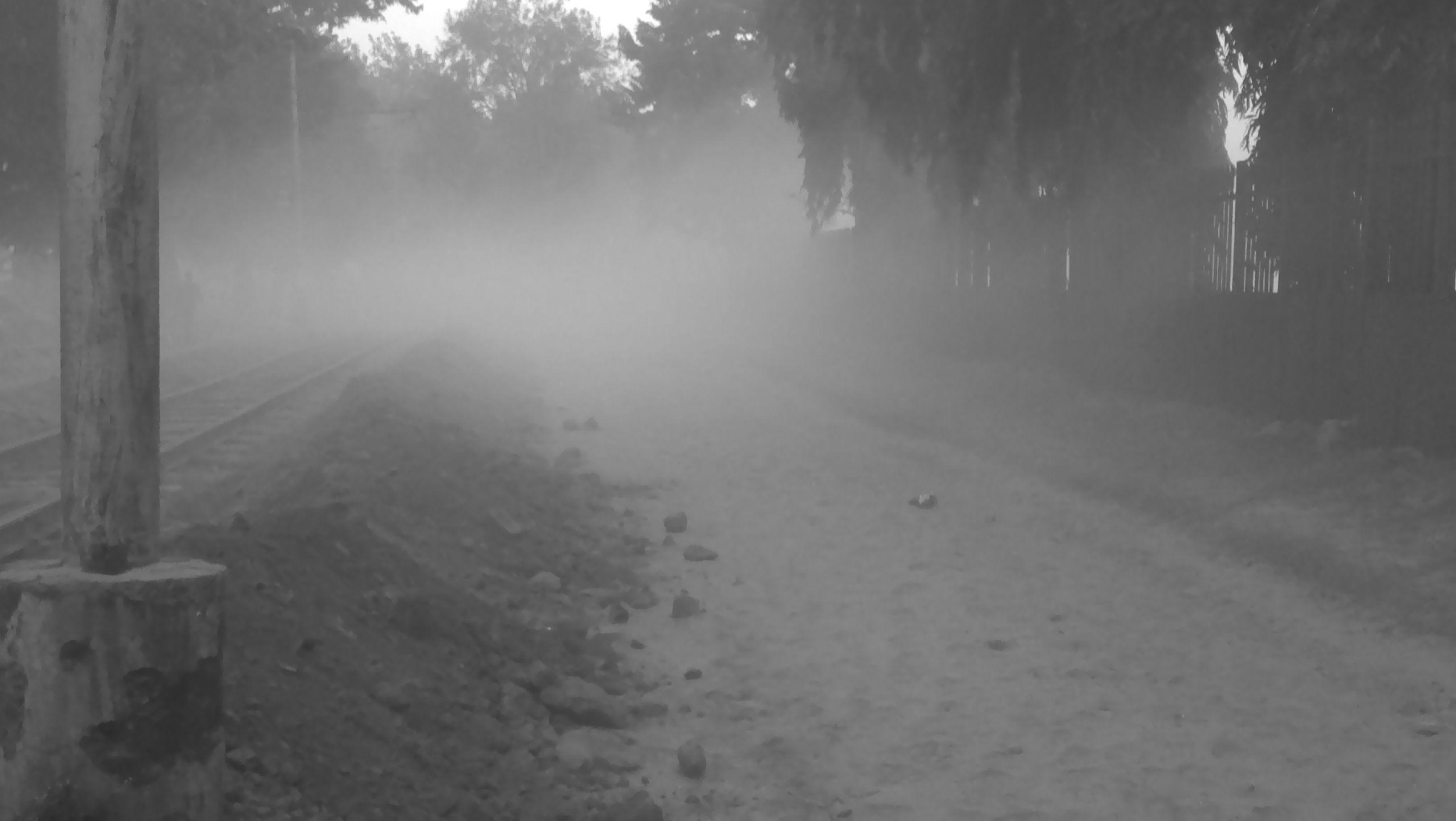 Foggy Morning Wallpapers - Top Free Foggy Morning Backgrounds ...