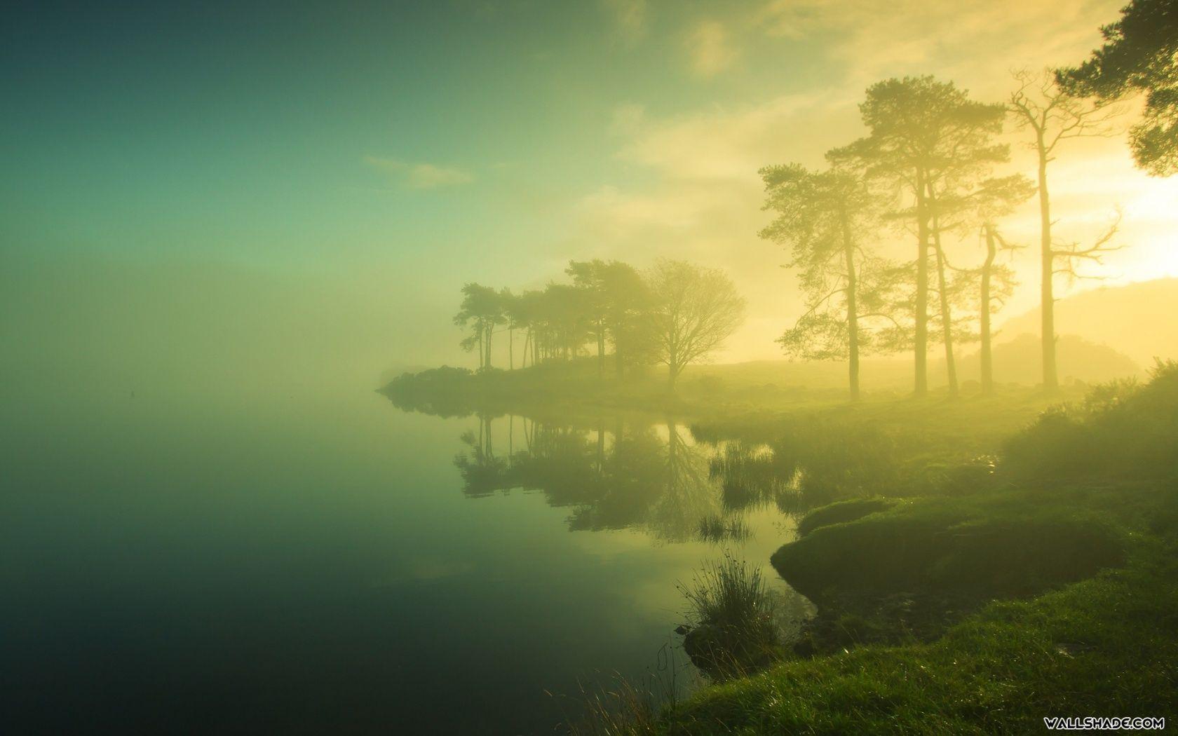 Foggy Morning Wallpapers - Top Free Foggy Morning Backgrounds ...