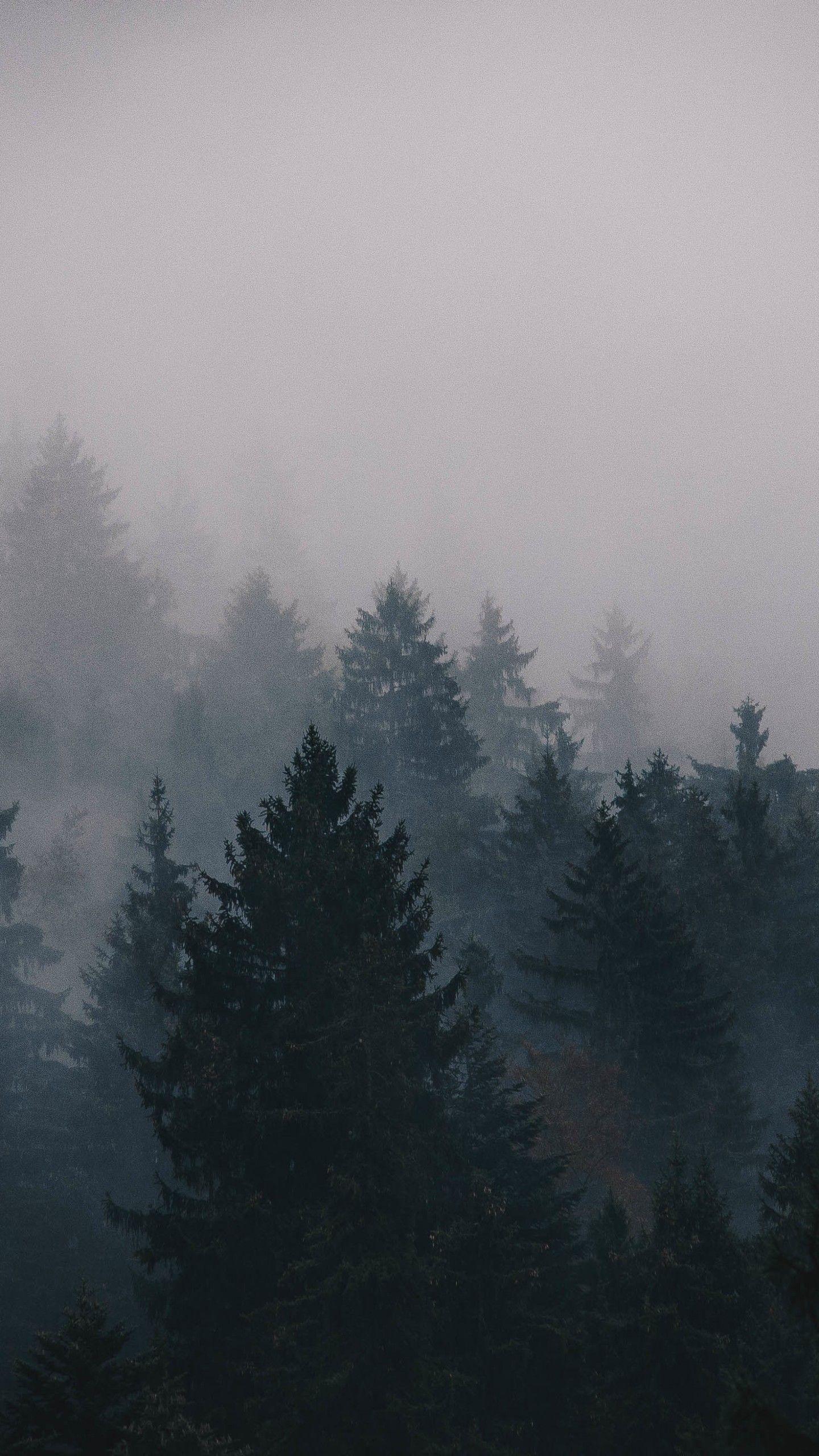 Foggy Day Wallpapers - Top Free Foggy Day Backgrounds - WallpaperAccess