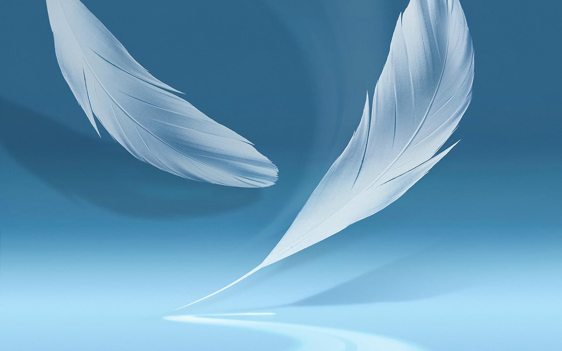 Cute Feather Wallpapers - Top Free Cute Feather Backgrounds ...