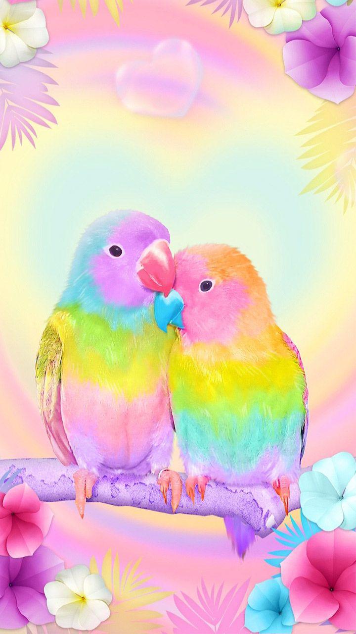 Kawaii Bird Wallpapers - Top Free Kawaii Bird Backgrounds - WallpaperAccess