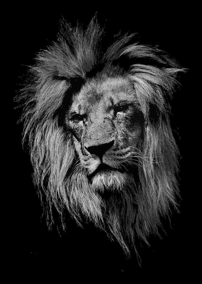 Sad Lion Wallpapers - Top Free Sad Lion Backgrounds - WallpaperAccess