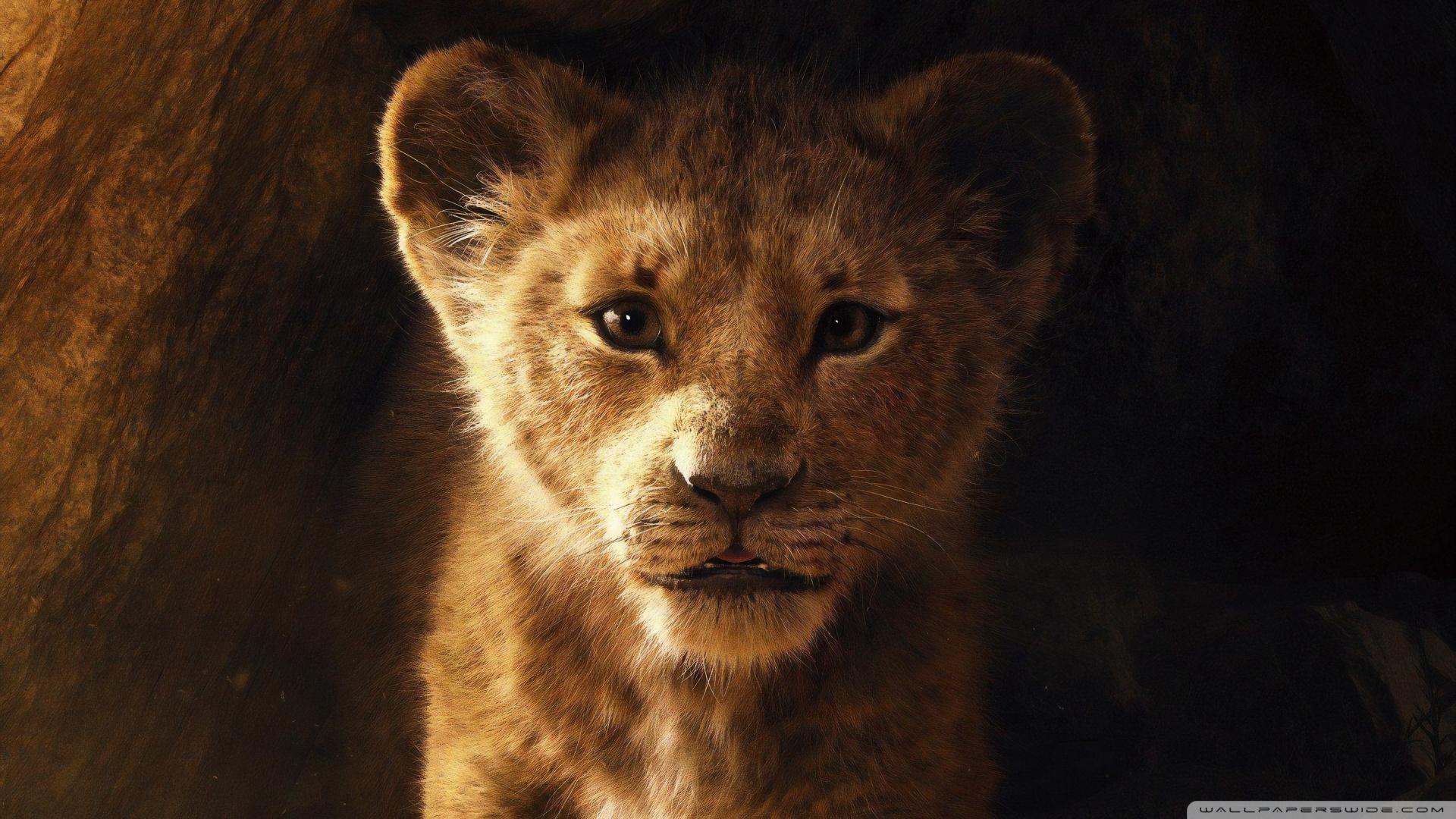 Sad Lion Wallpapers - Top Free Sad Lion Backgrounds - WallpaperAccess