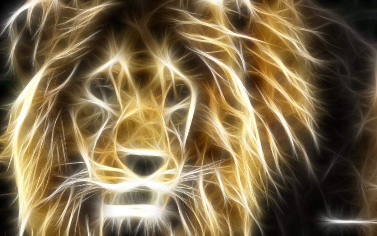 Sad Lion Wallpapers - Top Free Sad Lion Backgrounds - WallpaperAccess