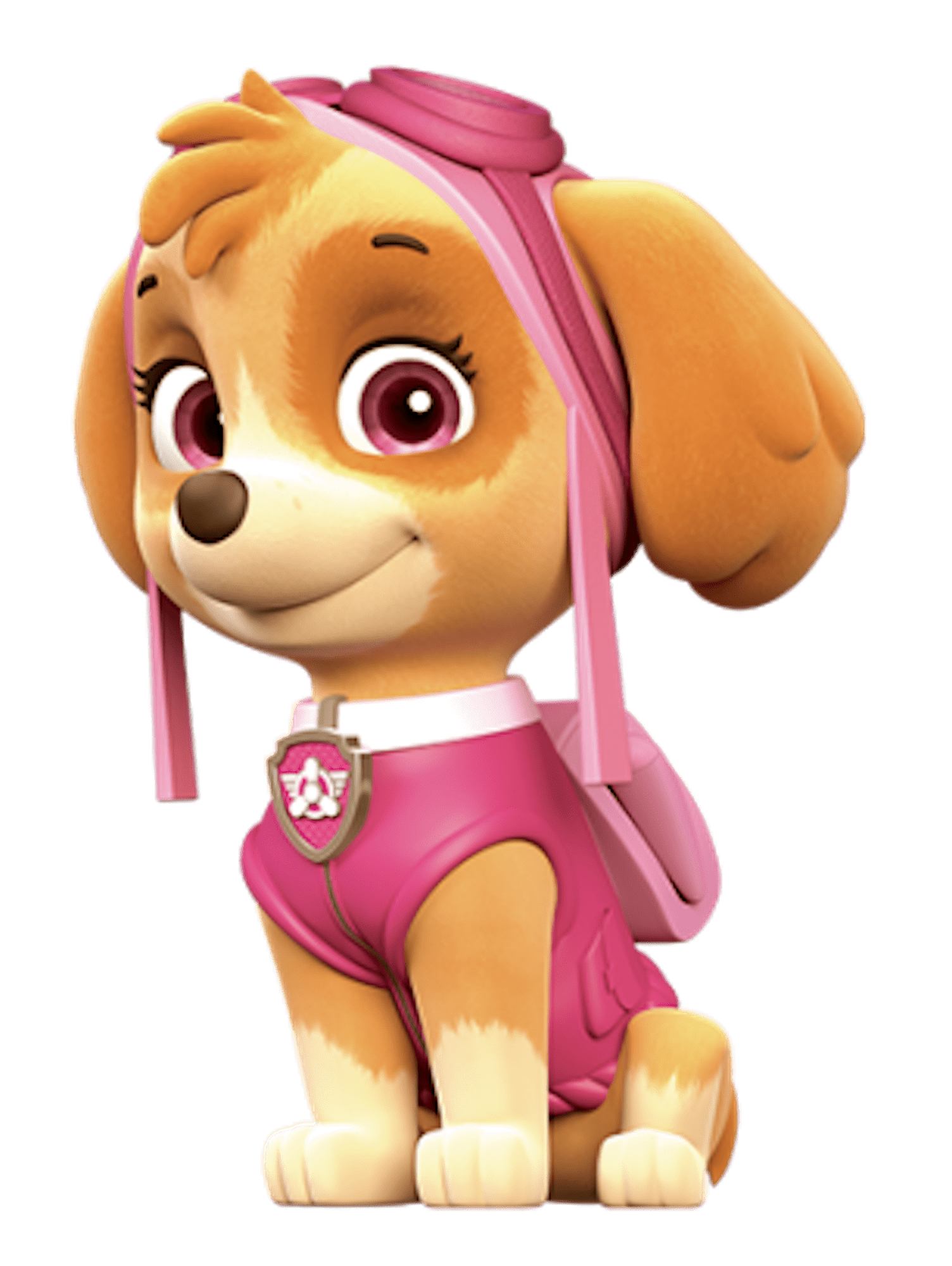 Skye Paw Patrol Wallpapers - Top Free Skye Paw Patrol Backgrounds ...