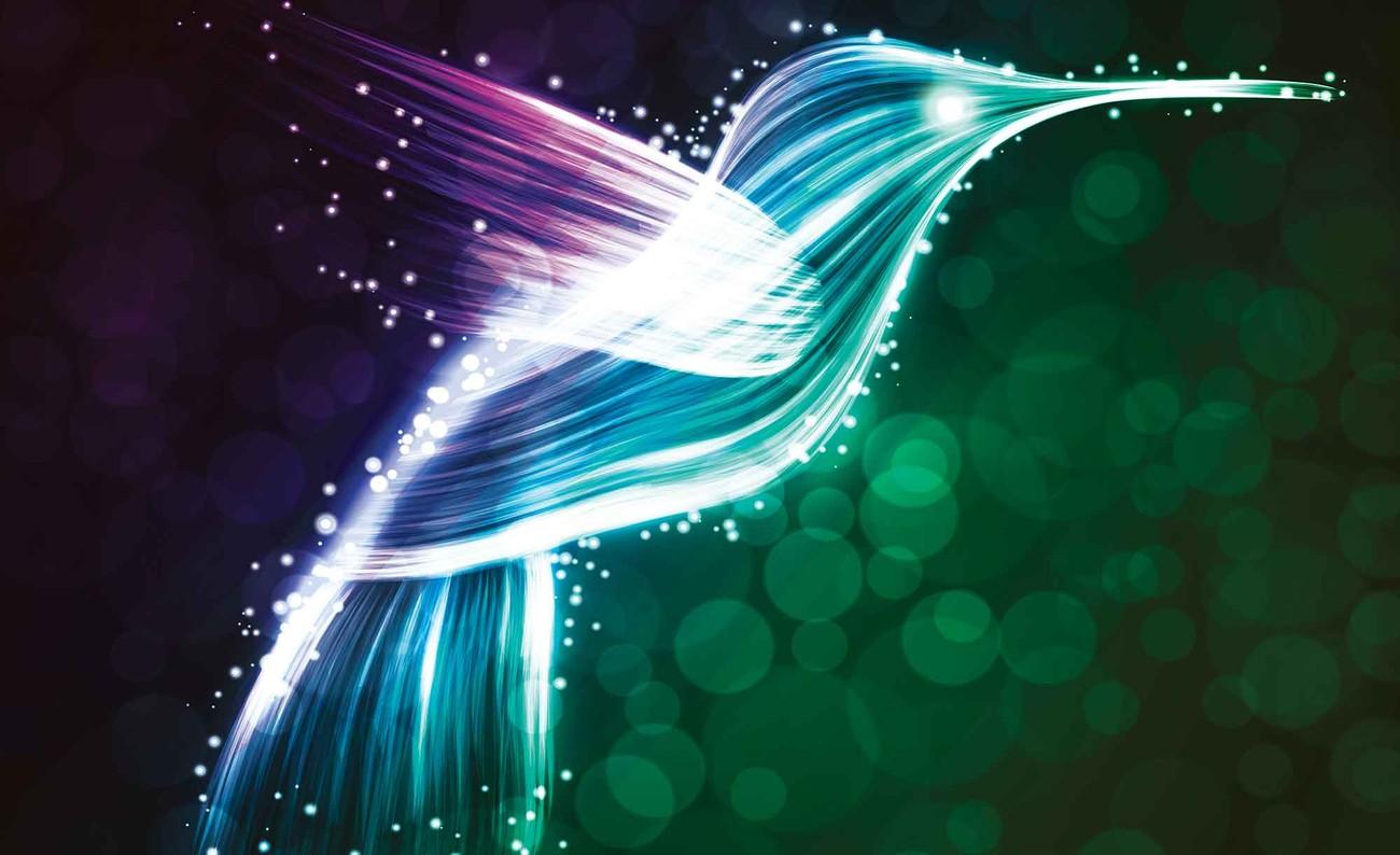 Neon Bird Art Wallpapers - Top Free Neon Bird Art Backgrounds ...