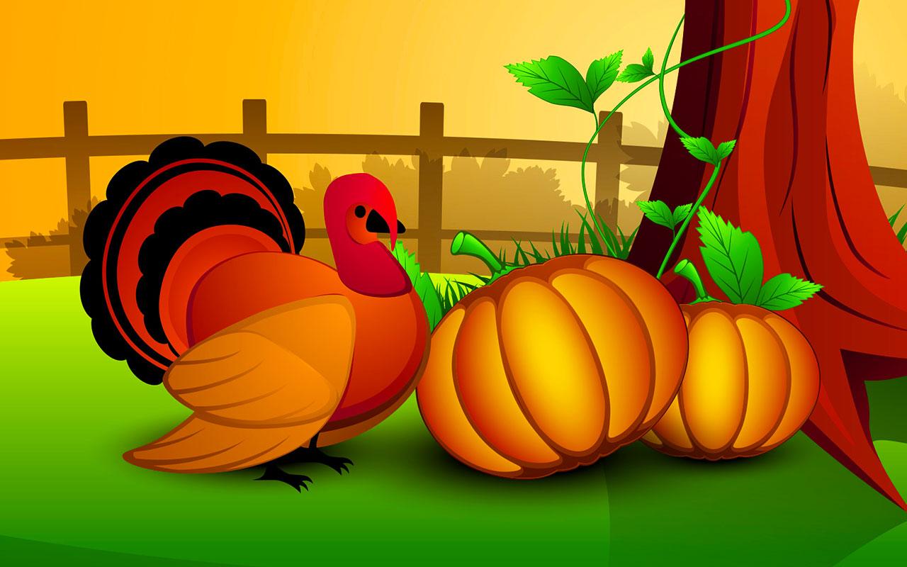 Turkey Thanksgiving Wallpapers - Top Free Turkey Thanksgiving ...
