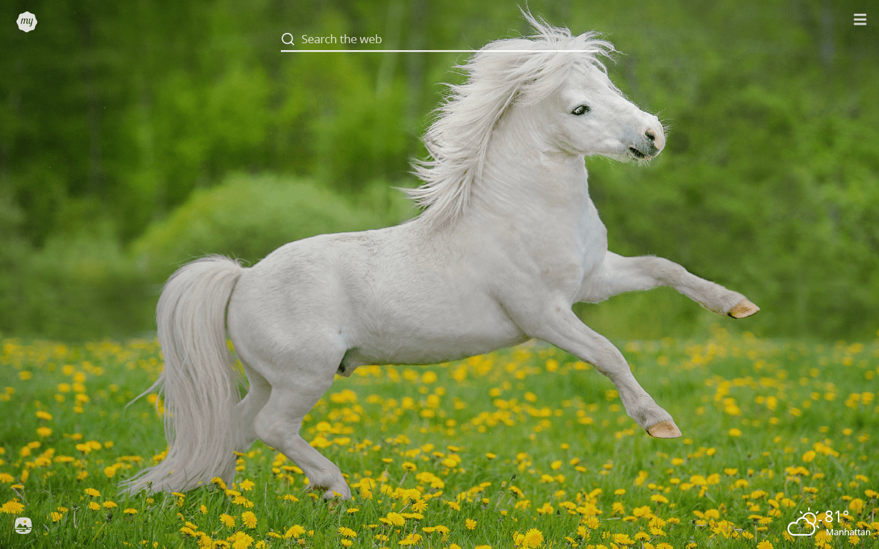 Pony Horse Wallpapers - Top Free Pony Horse Backgrounds - WallpaperAccess