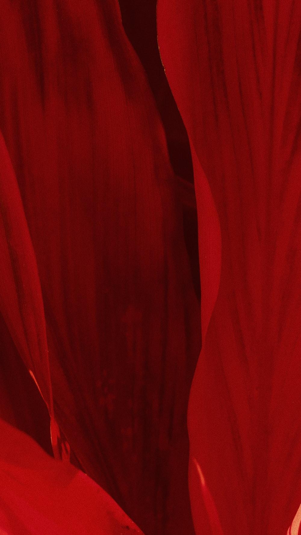 Deep Red Wallpapers - Top Free Deep Red Backgrounds - WallpaperAccess