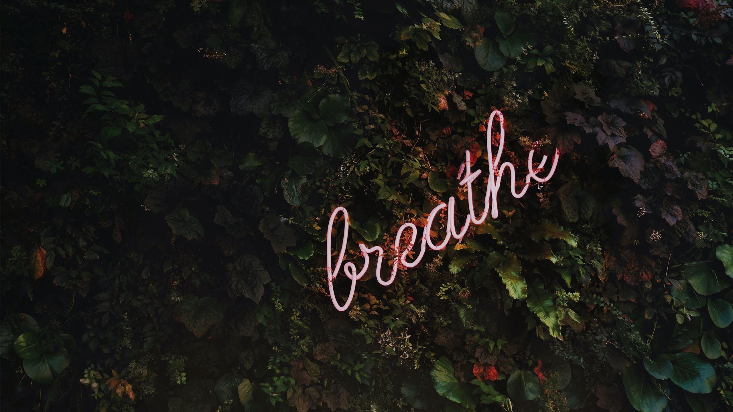 Breathe in Breathe Out Wallpapers - Top Free Breathe in Breathe Out ...