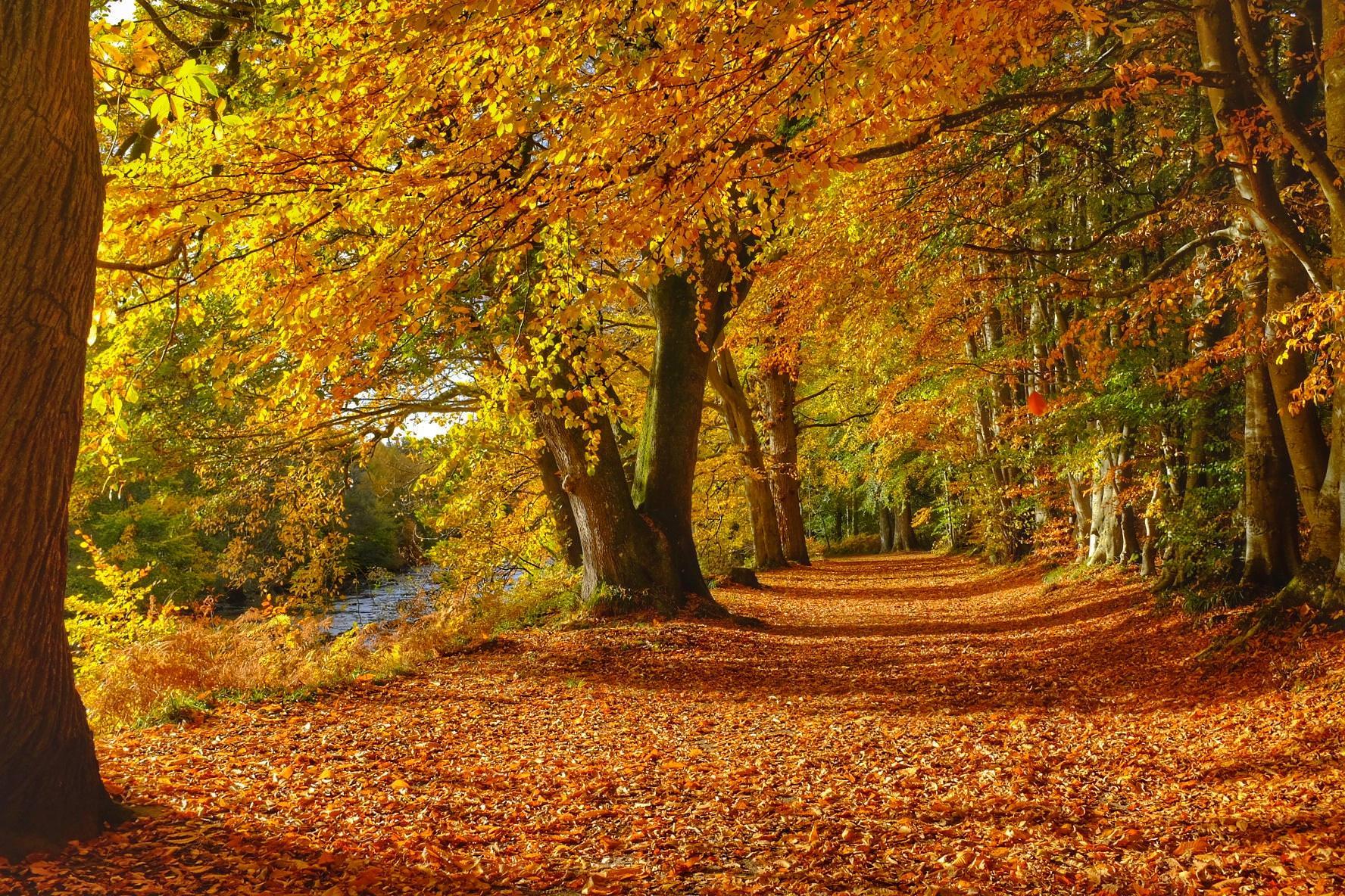 Scotland Autumn Wallpapers - Top Free Scotland Autumn Backgrounds ...