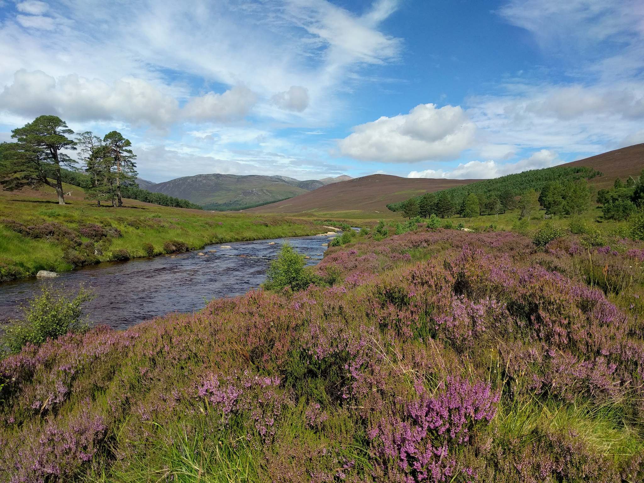 Scotland Nature Wallpapers - Top Free Scotland Nature Backgrounds ...